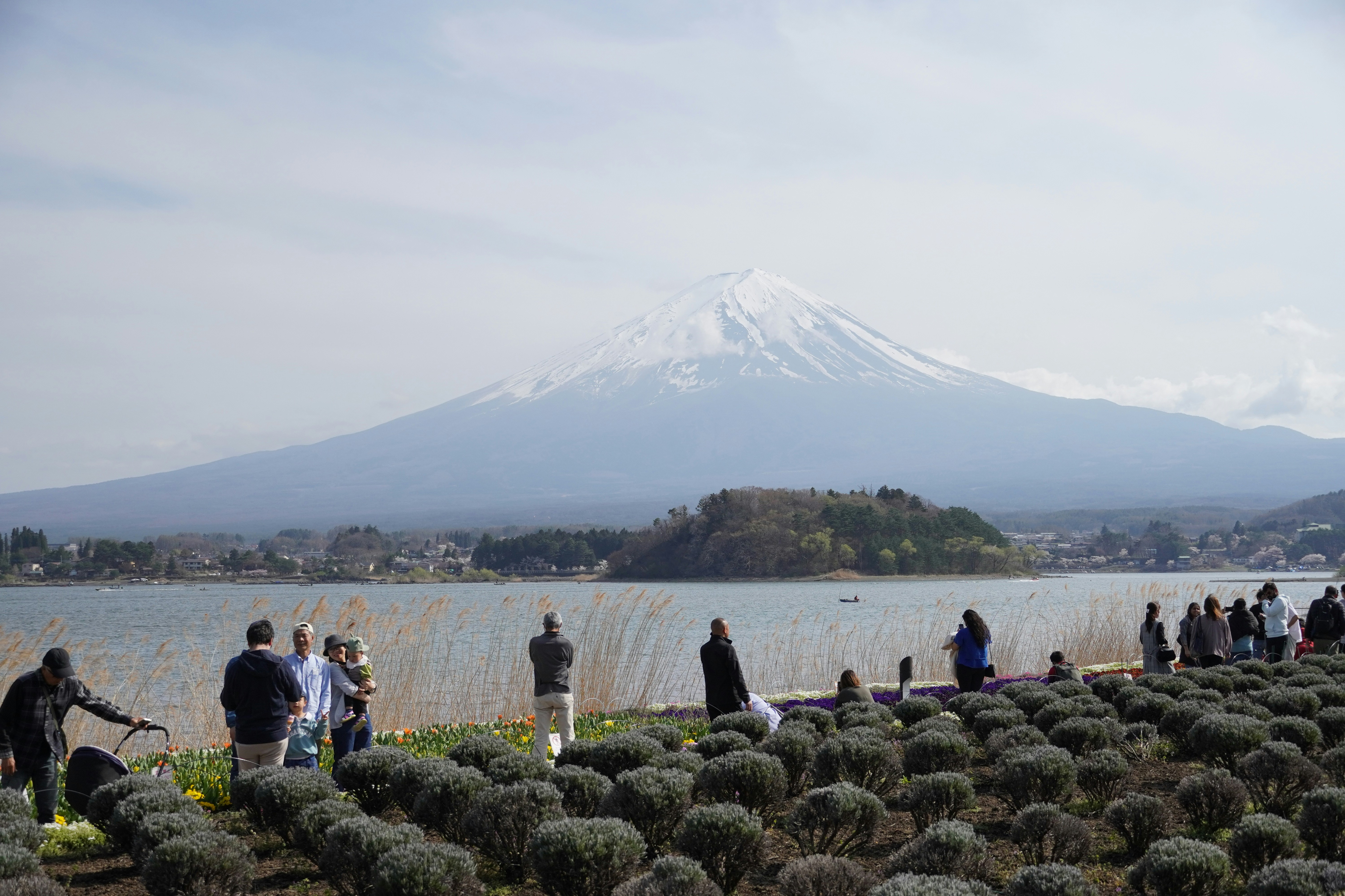 People standing beside a lake with a snow-capped mountain in the distance under a clear sky.