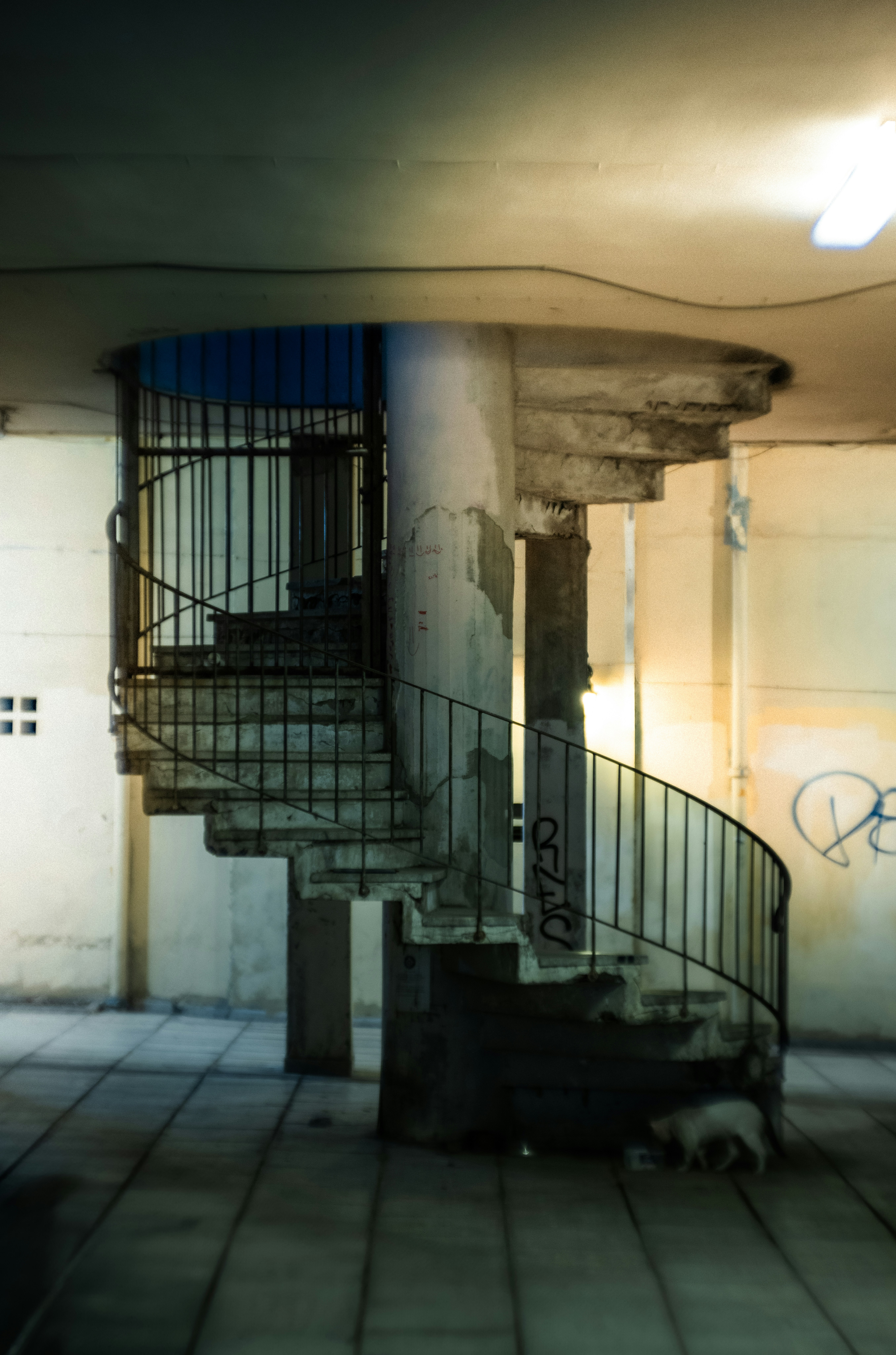 Spiral Descent in a Graffiti-Warmed Underpass