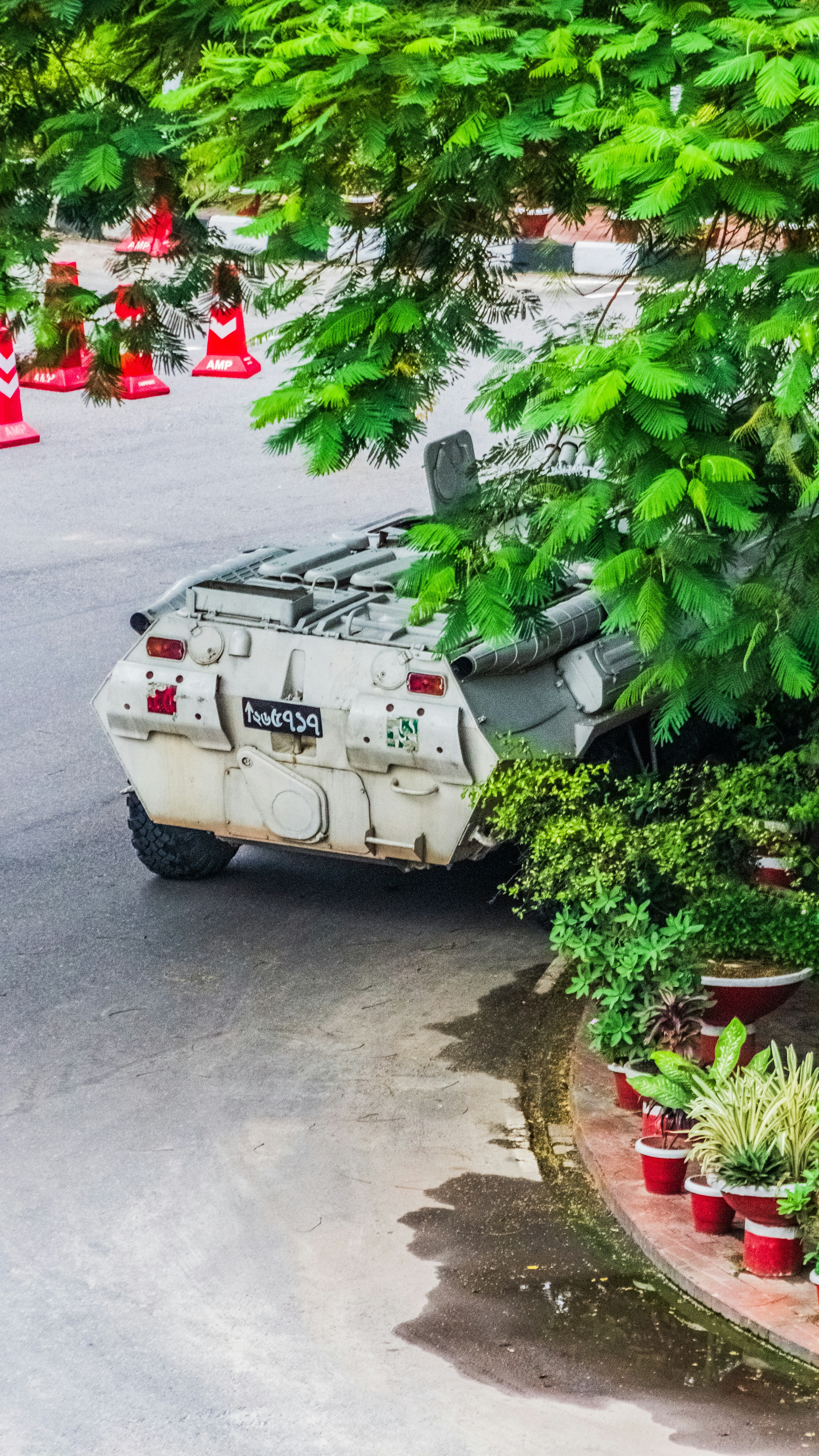 Overgrown Ambush: A Deserted Armored Vehicle Resting by the Garden Path