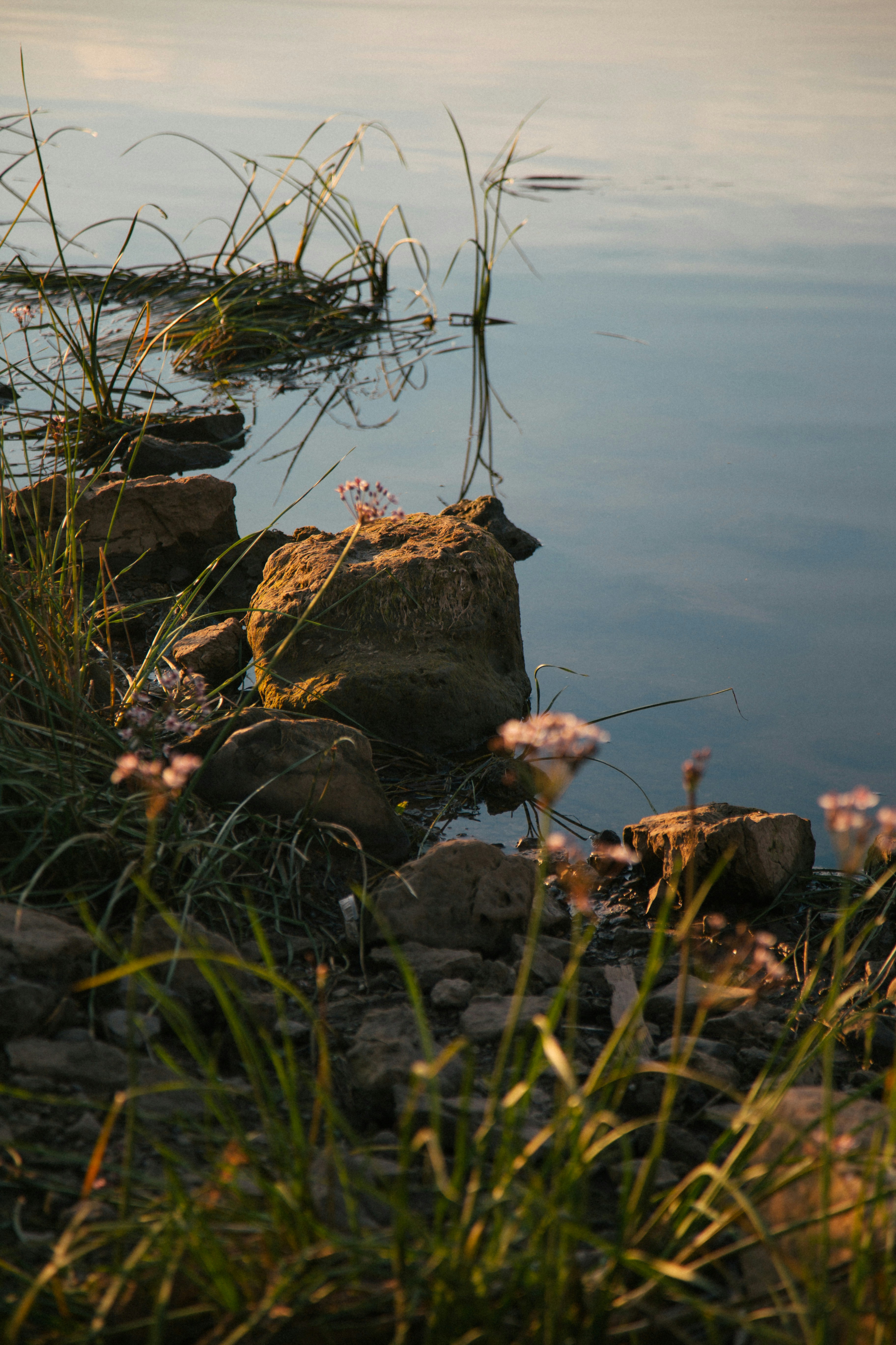 Quiet Shoreline at Golden Hour: Weathered Rocks Framing a Glassy Lake