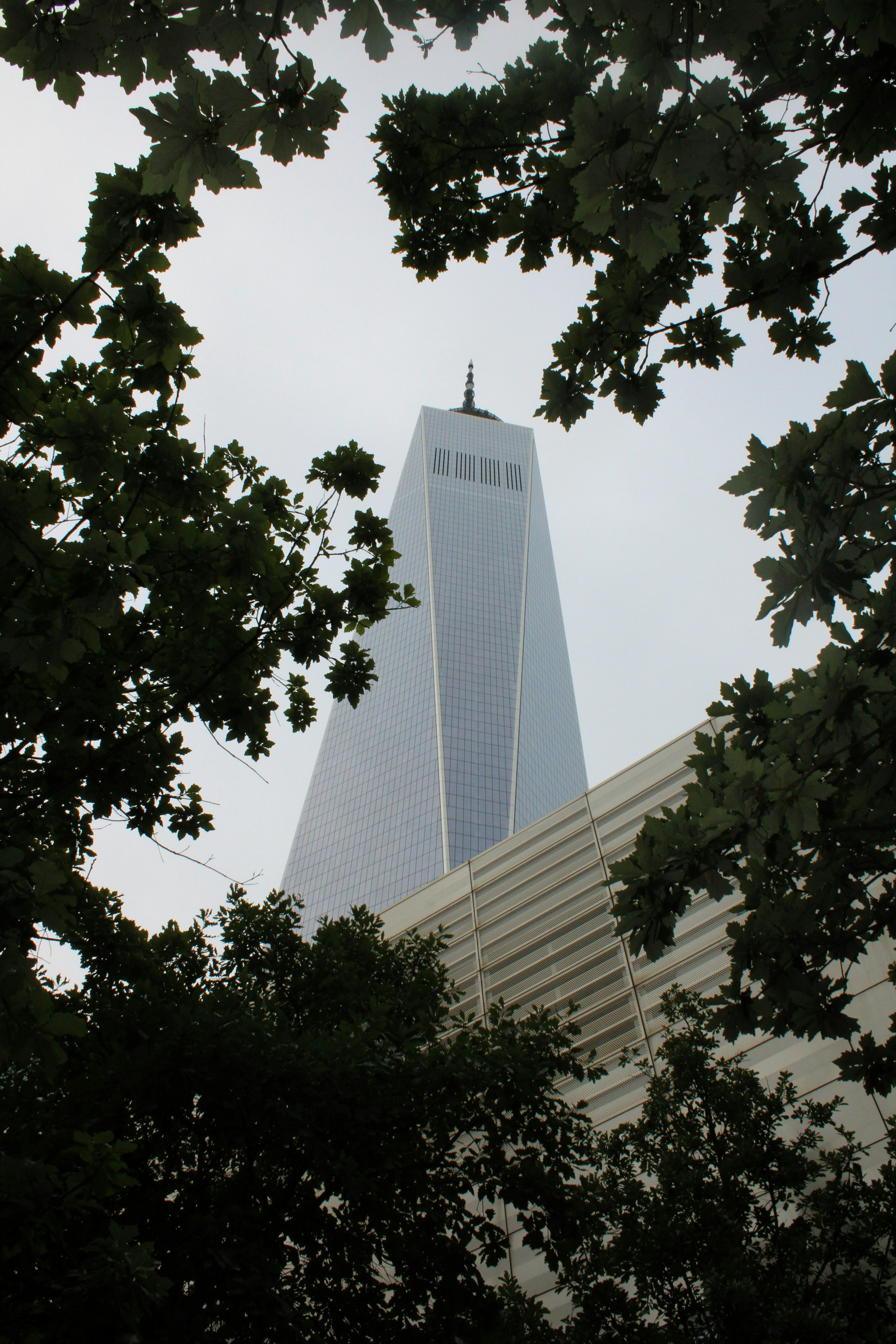 Spire Through the Green Frame: One World Trade Center Peers Through the City Canopy