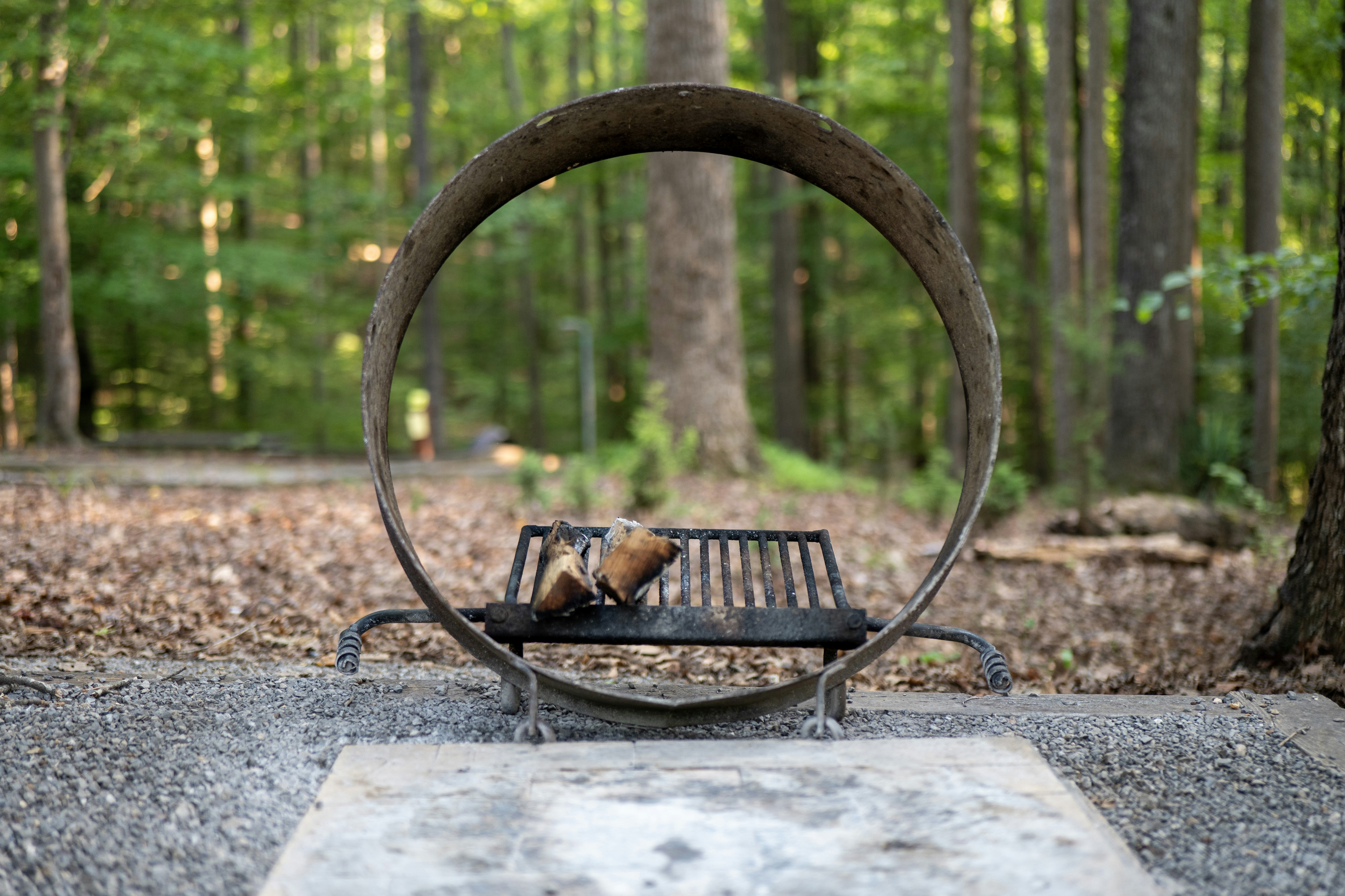 Pup on a Circular Fire Ring in a Quiet Forest Park