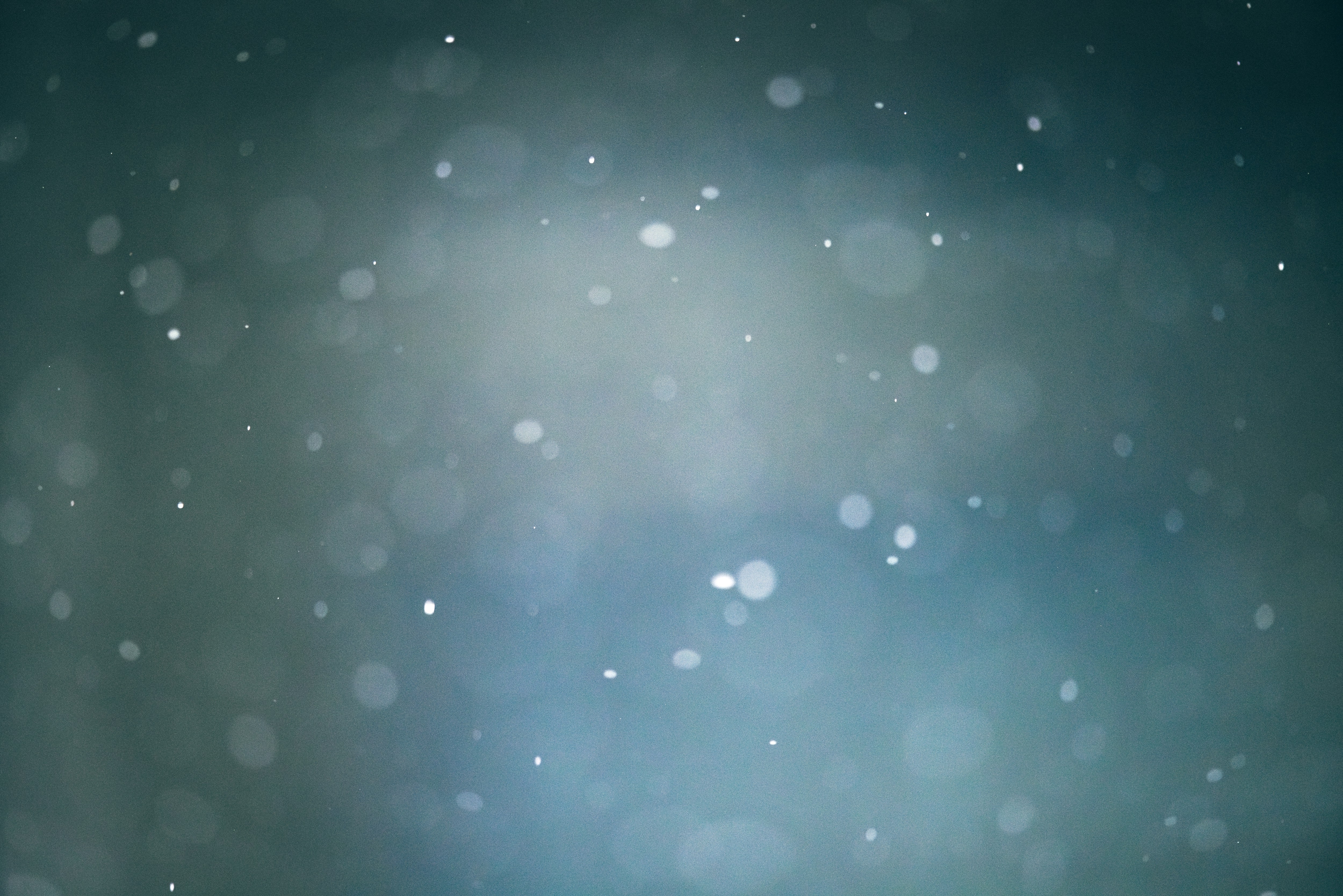 A blurry photo of snow falling on the ground photo – Free Nature Image ...