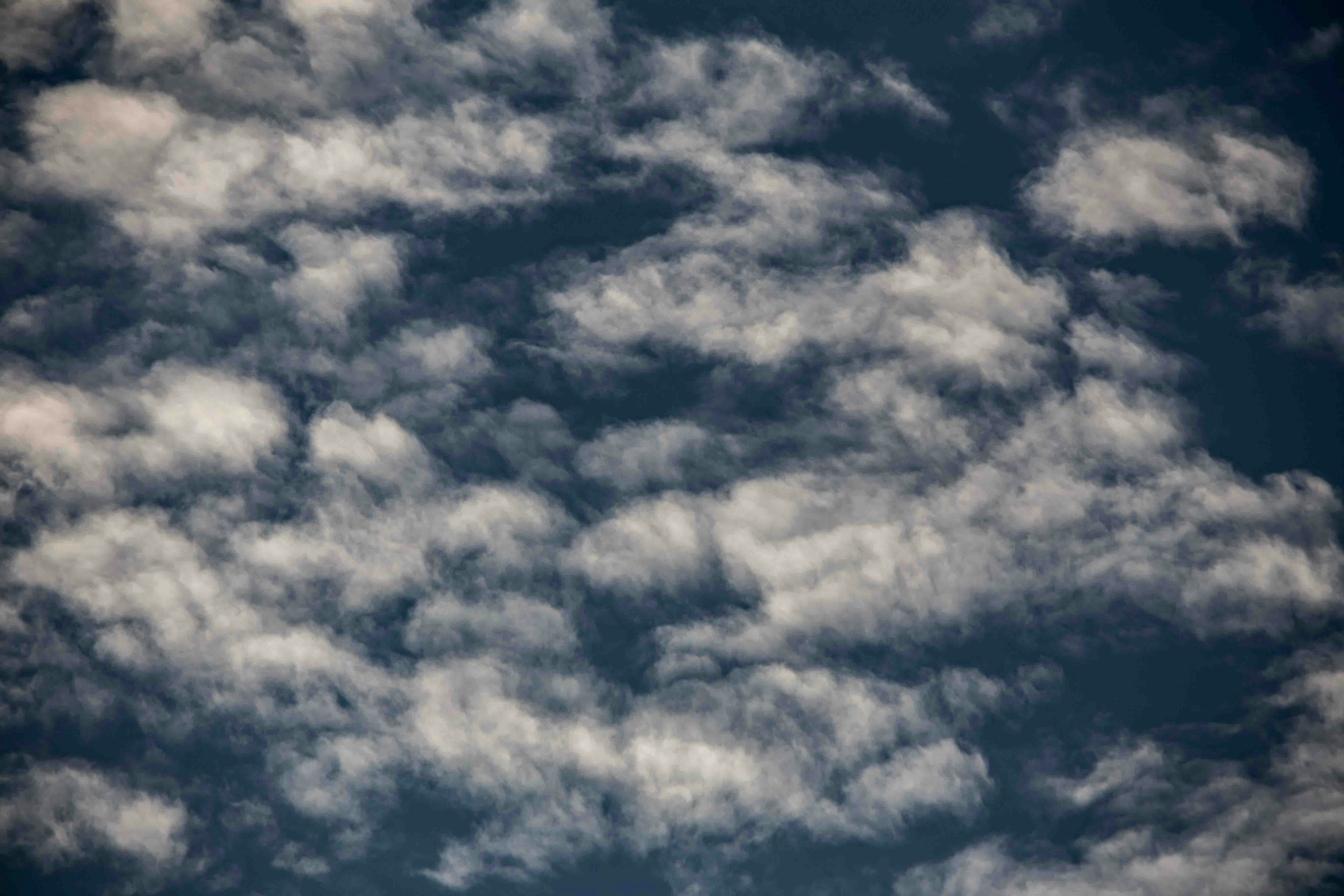 Photo by Bernd 📷 Dittrich with Canon EOS 6D