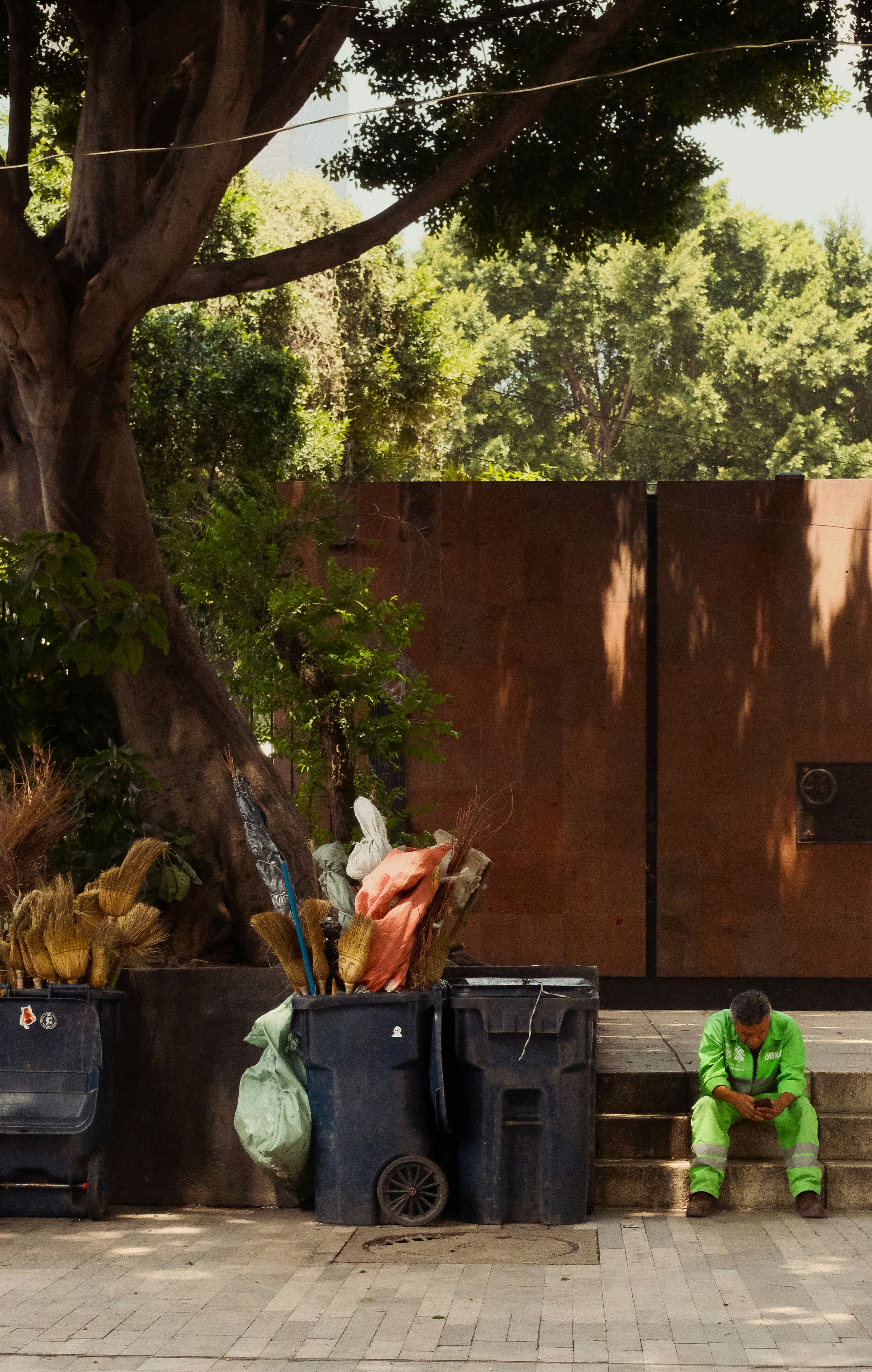 Quiet Moment Beneath a Dumpster Row
