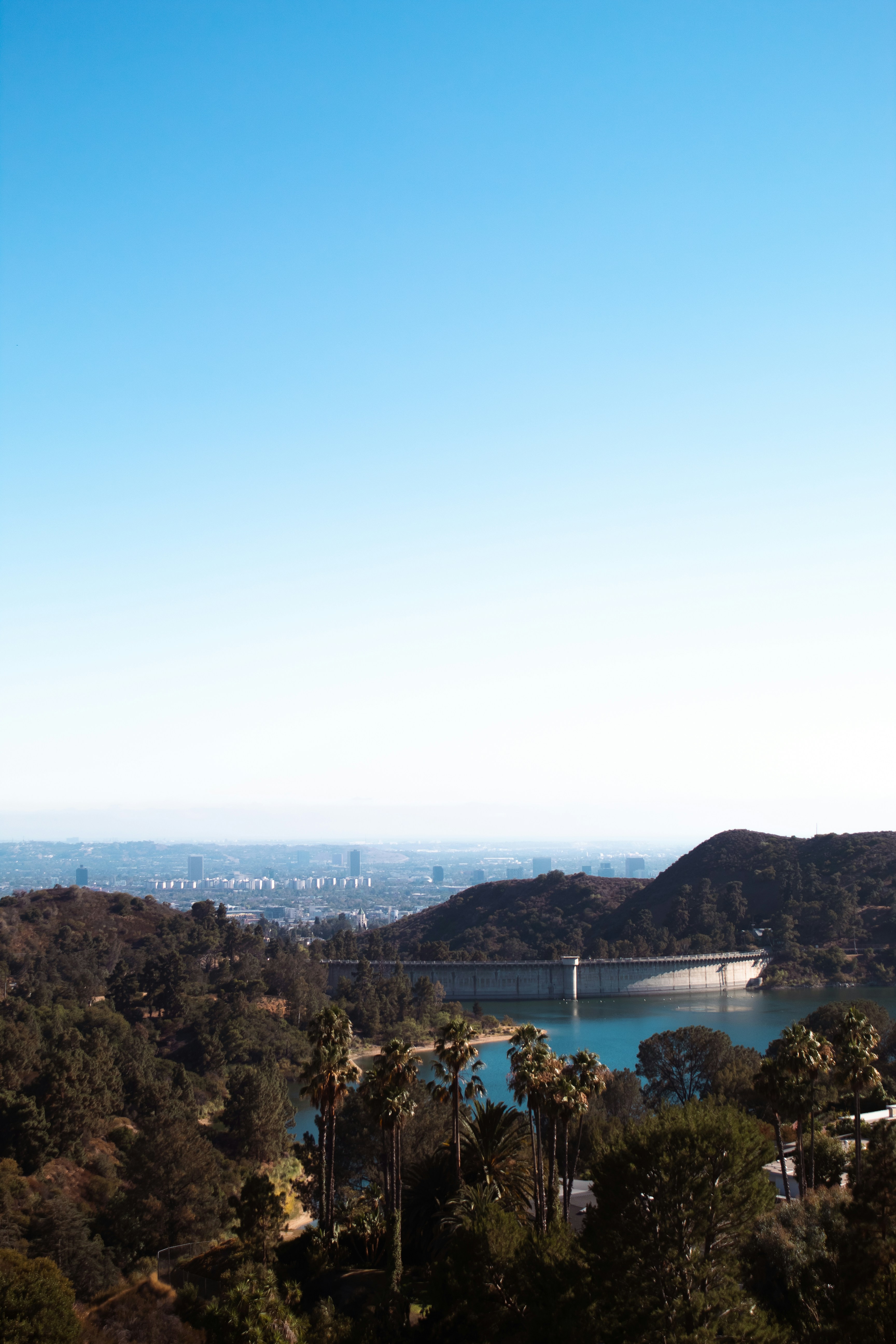 Palm-Lined Reservoir Vista: Hills, Water, and a Distant City