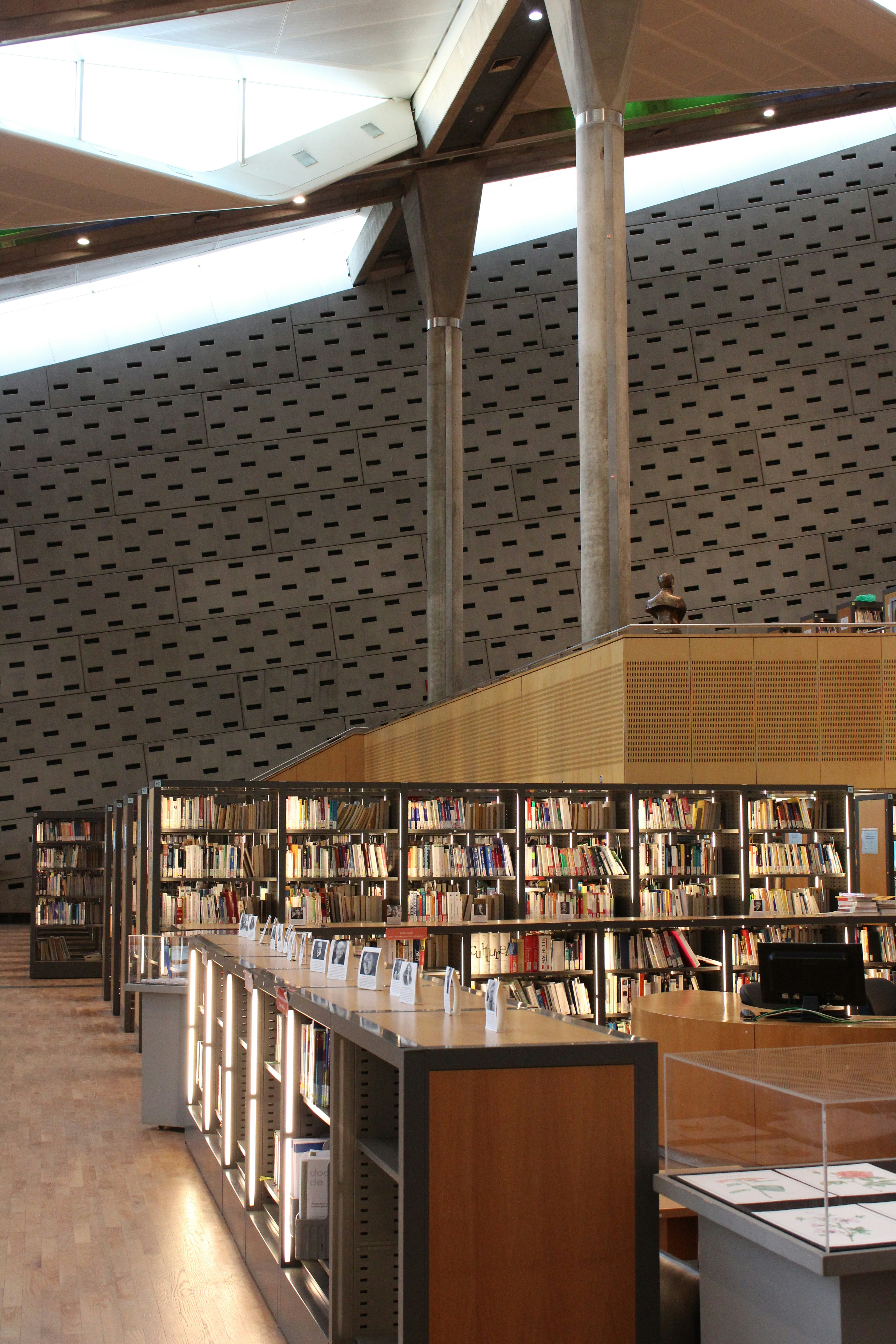 A library filled with lots of books under a roof photo – Free Building ...