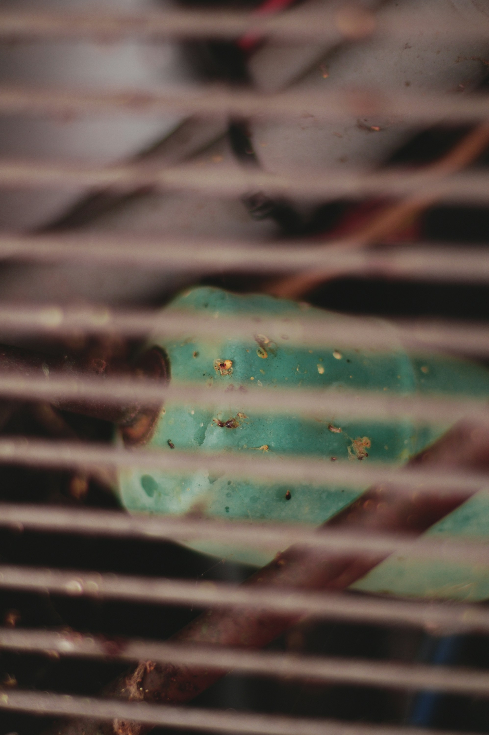 Photo by Photogon (Warren Valentine) with Nikon D70s