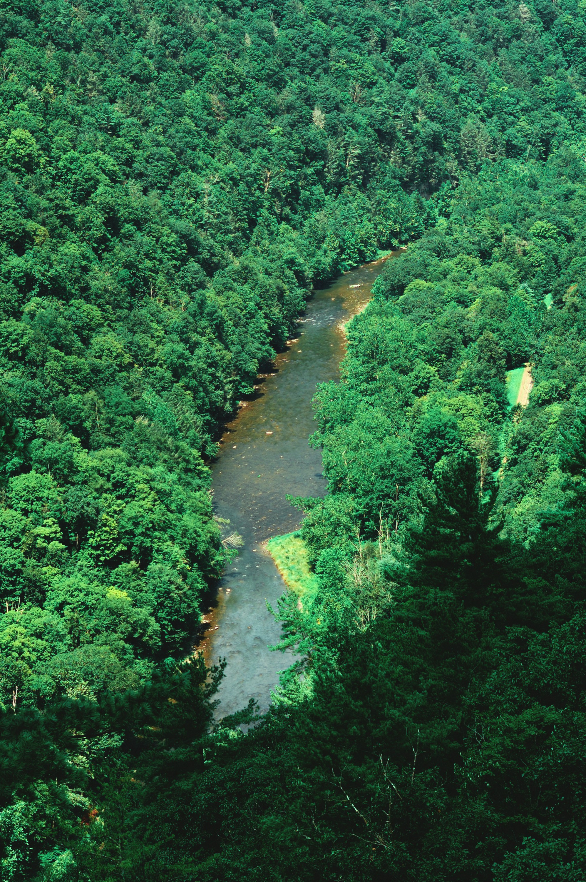 Photo by Photogon (Warren Valentine) with Nikon D70s