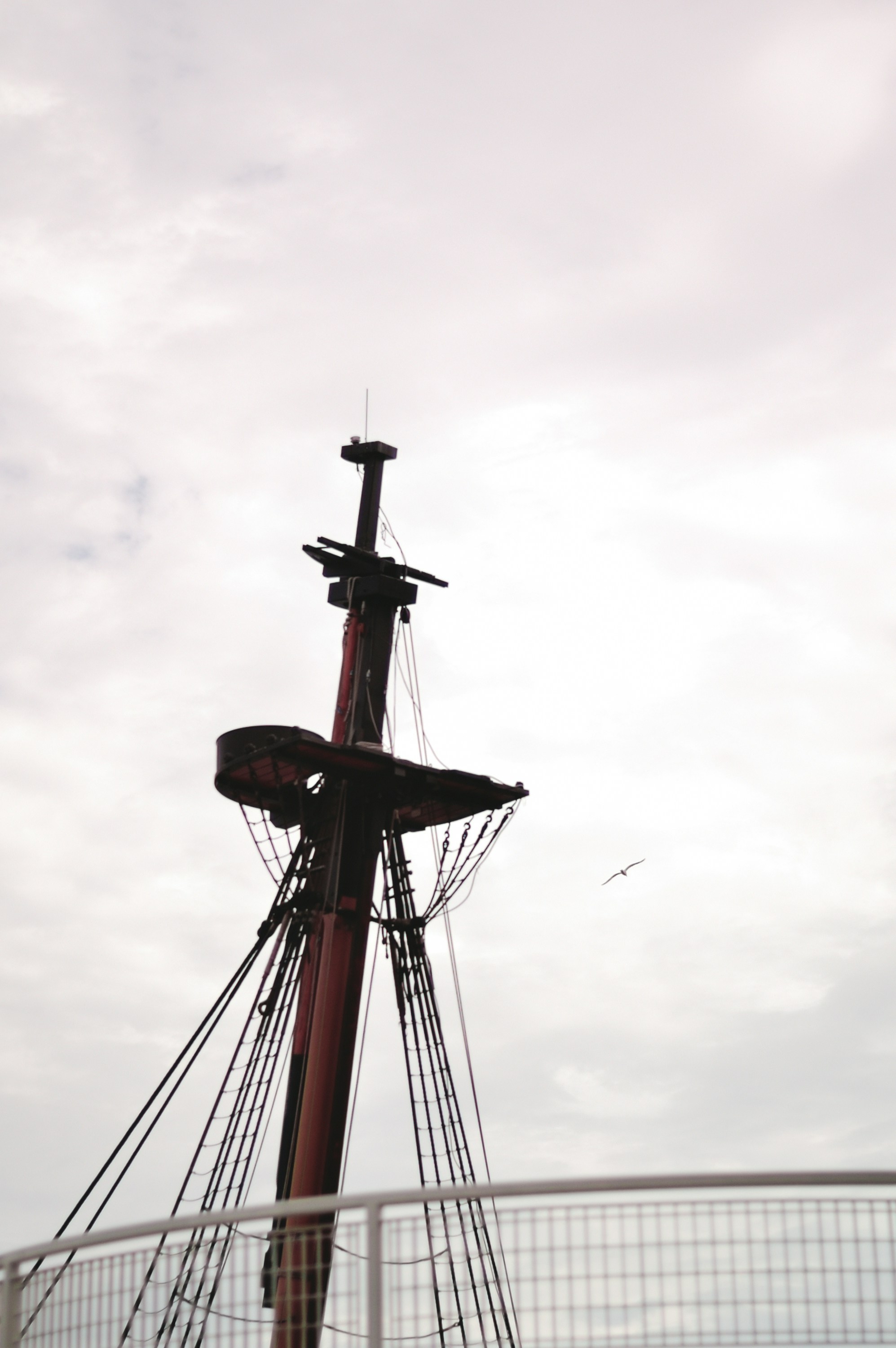 The Silent Watcher of the Sea