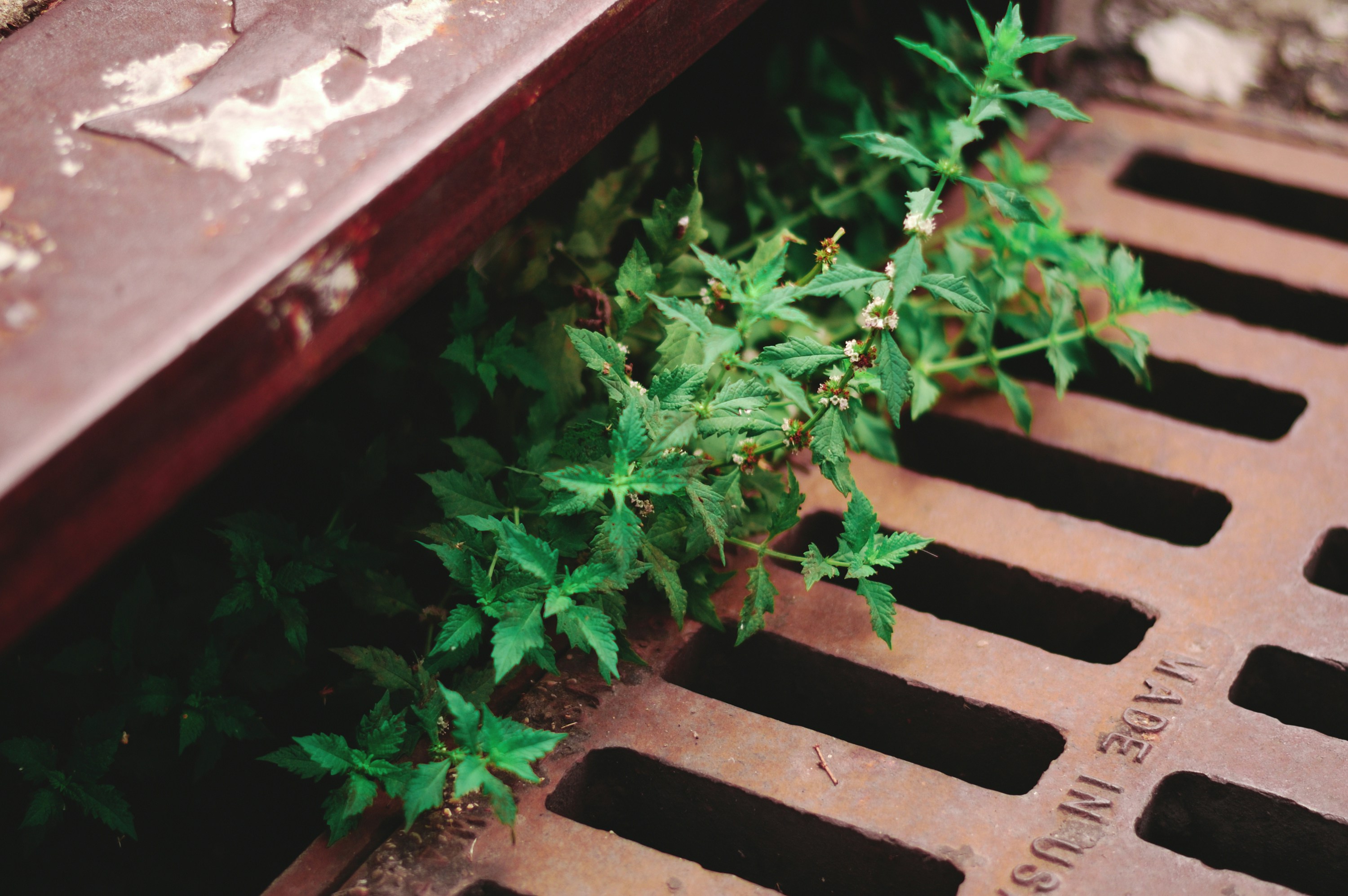 Photo by Photogon (Warren Valentine) with Nikon D70s