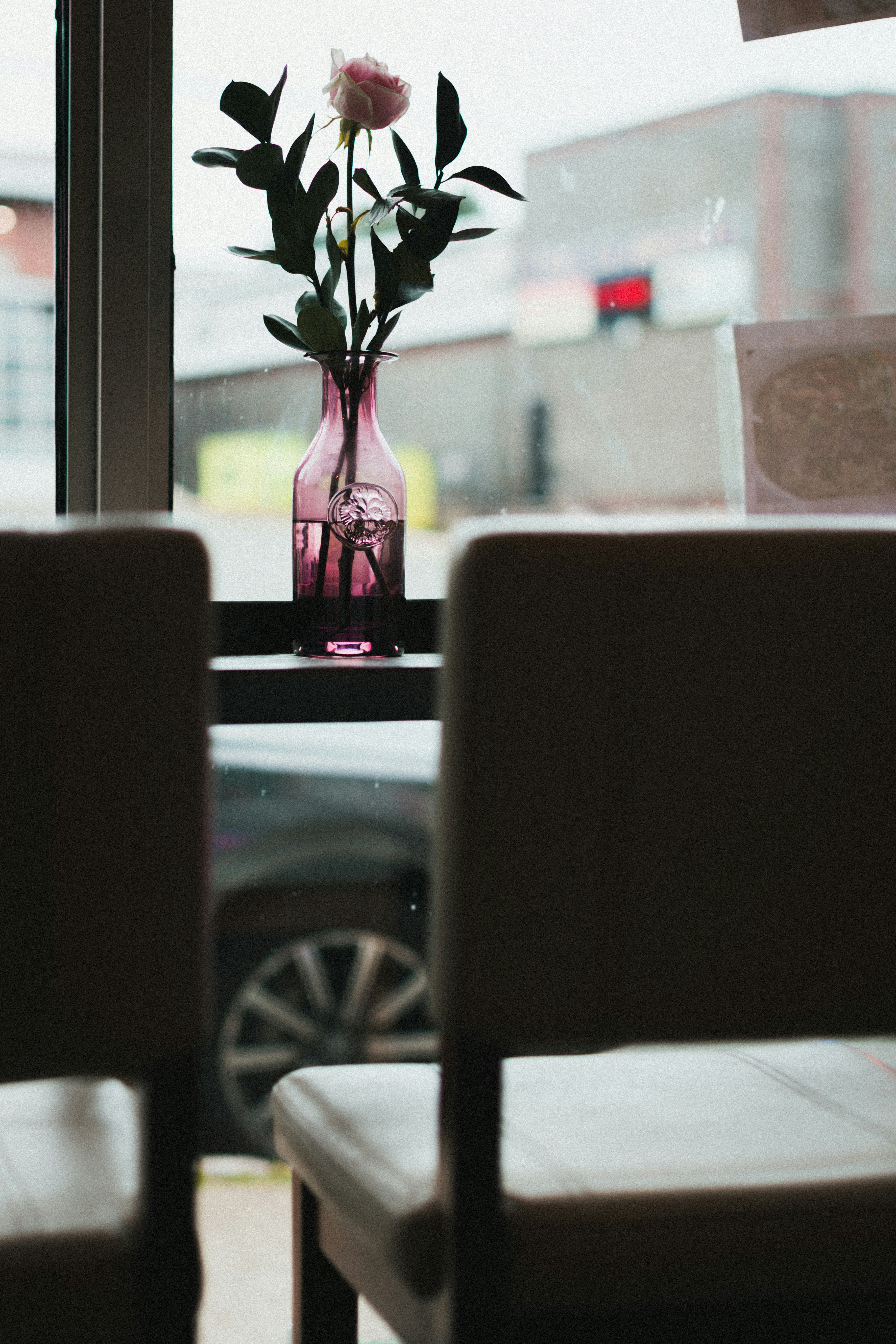 Purple Glass Vase with Pink Rose as Quiet Centerpiece