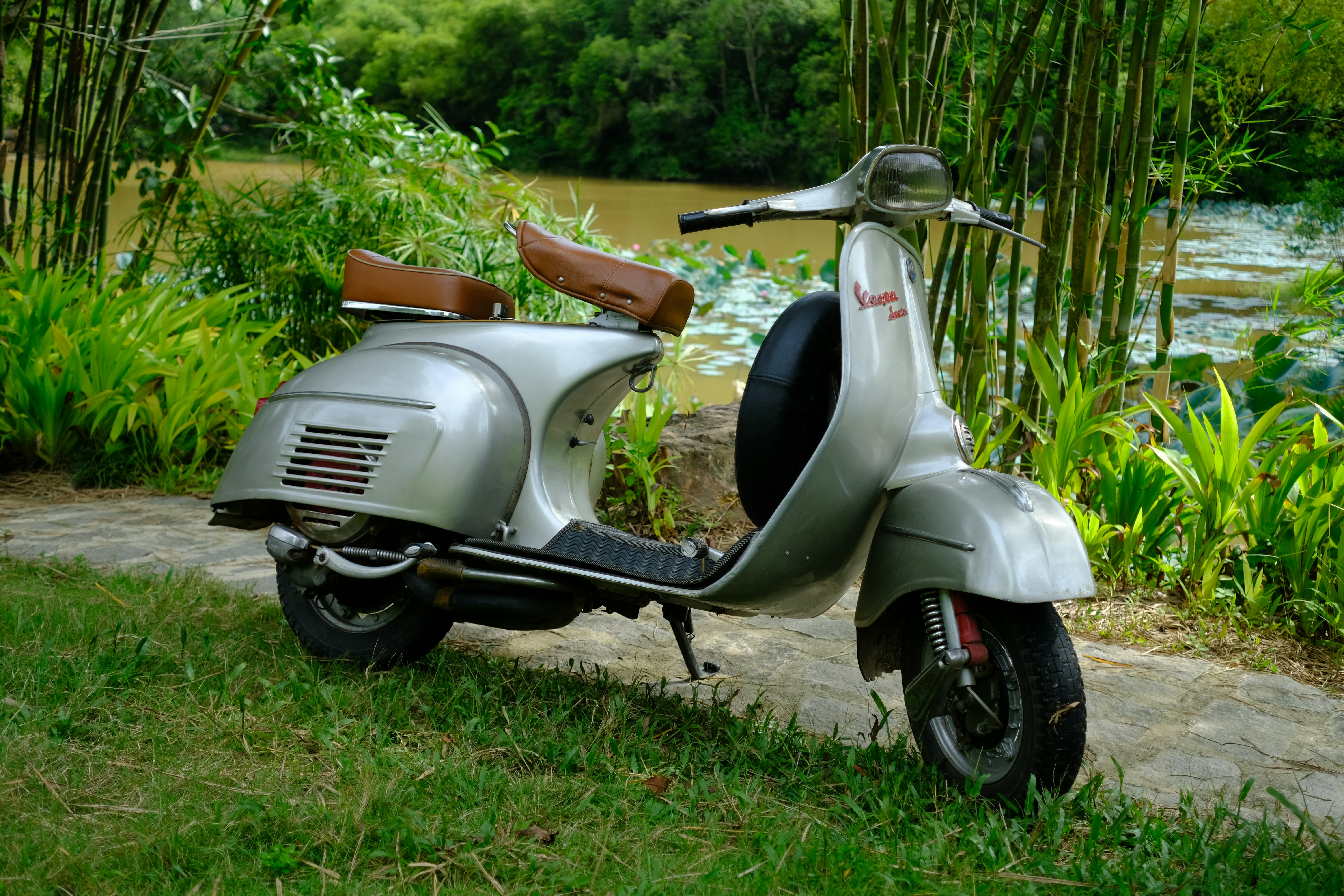 Riverside Vespa: A Quiet Silver Sentinel Among Bamboo