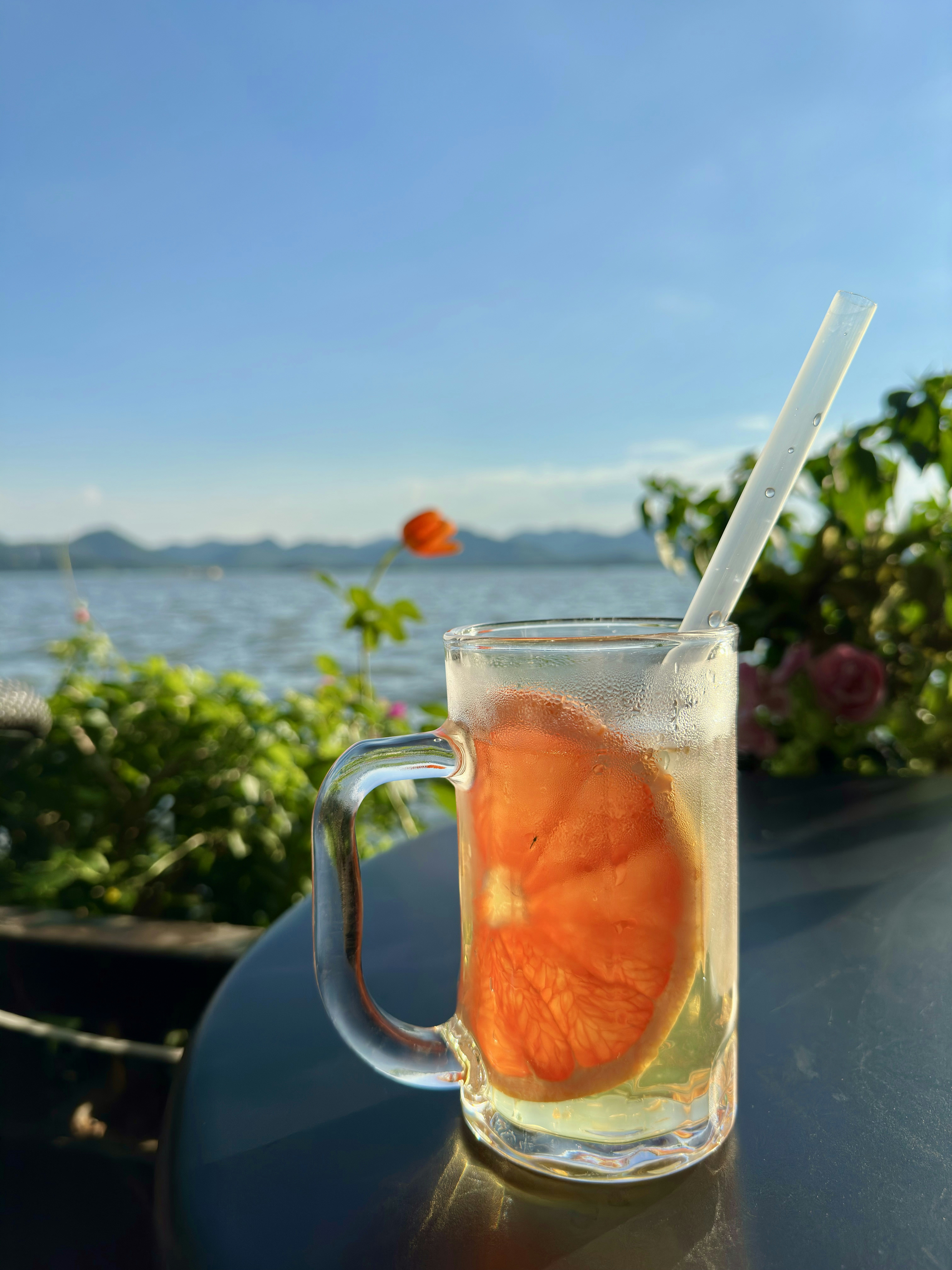 Grapefruit Glow at the Waterfront: a Sunlit Sip by the Lake