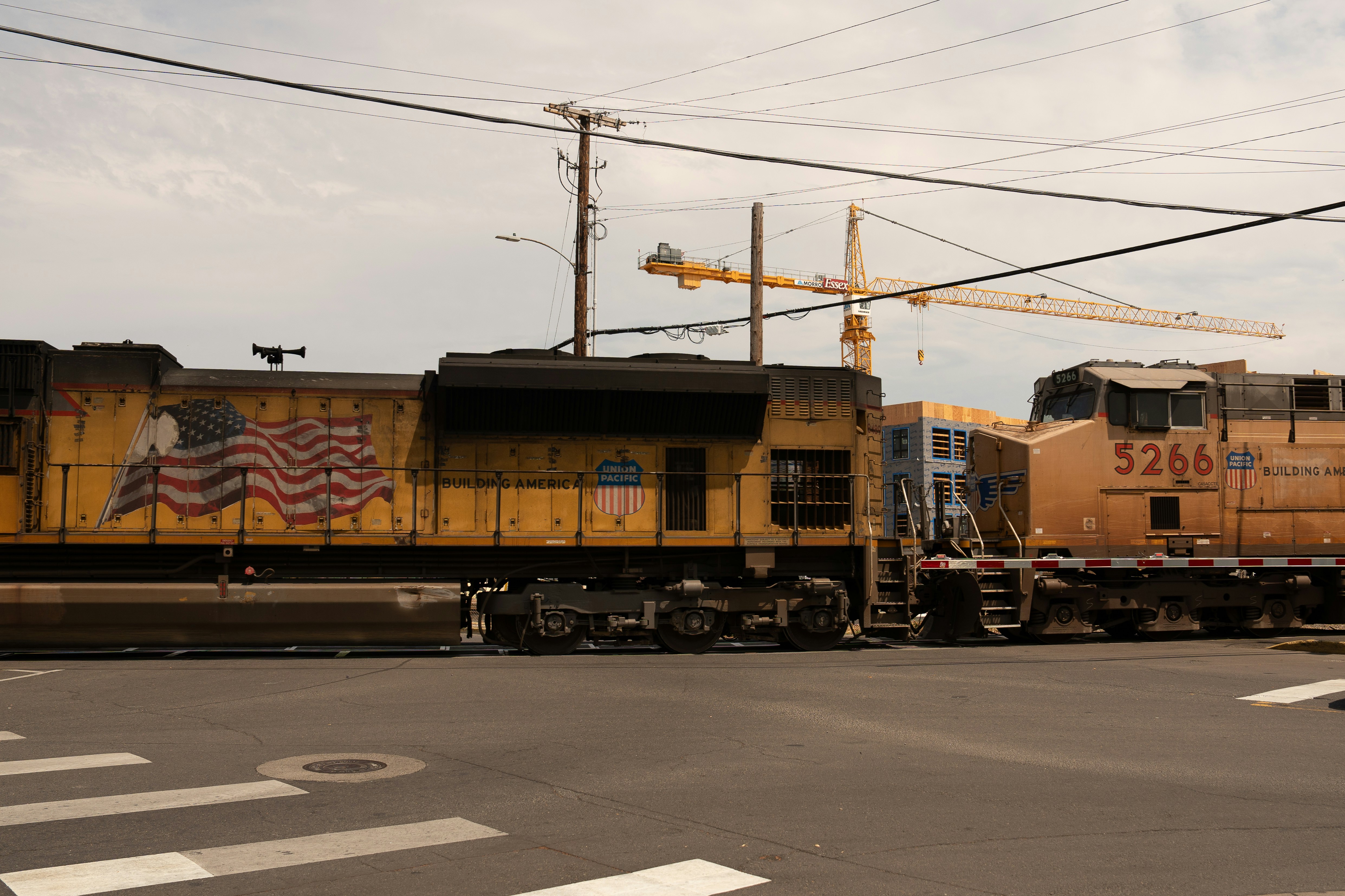 Photo by Salvador Rios with Sony Alpha 7 IV