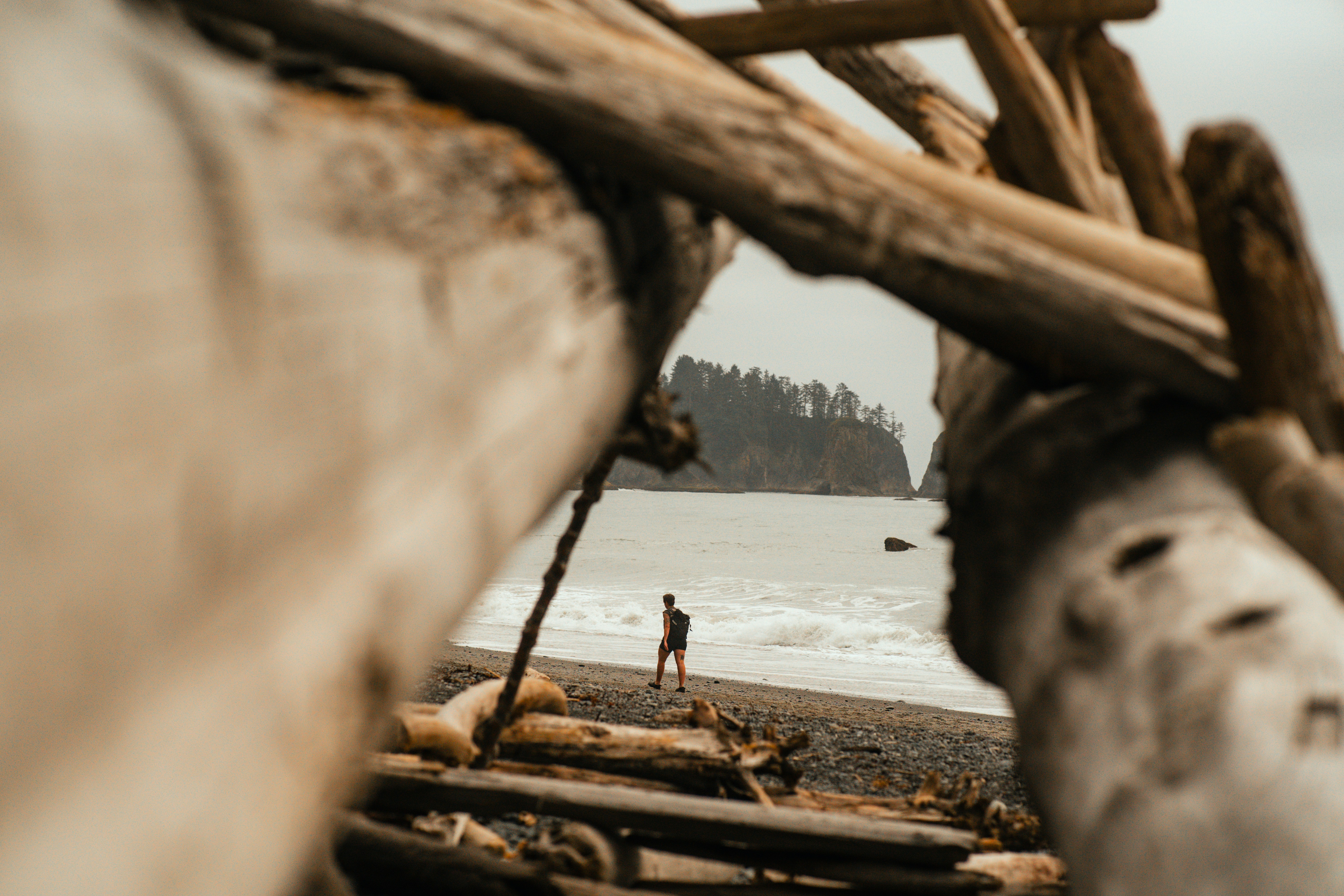 Framed by Driftwood: A Coastal Moment