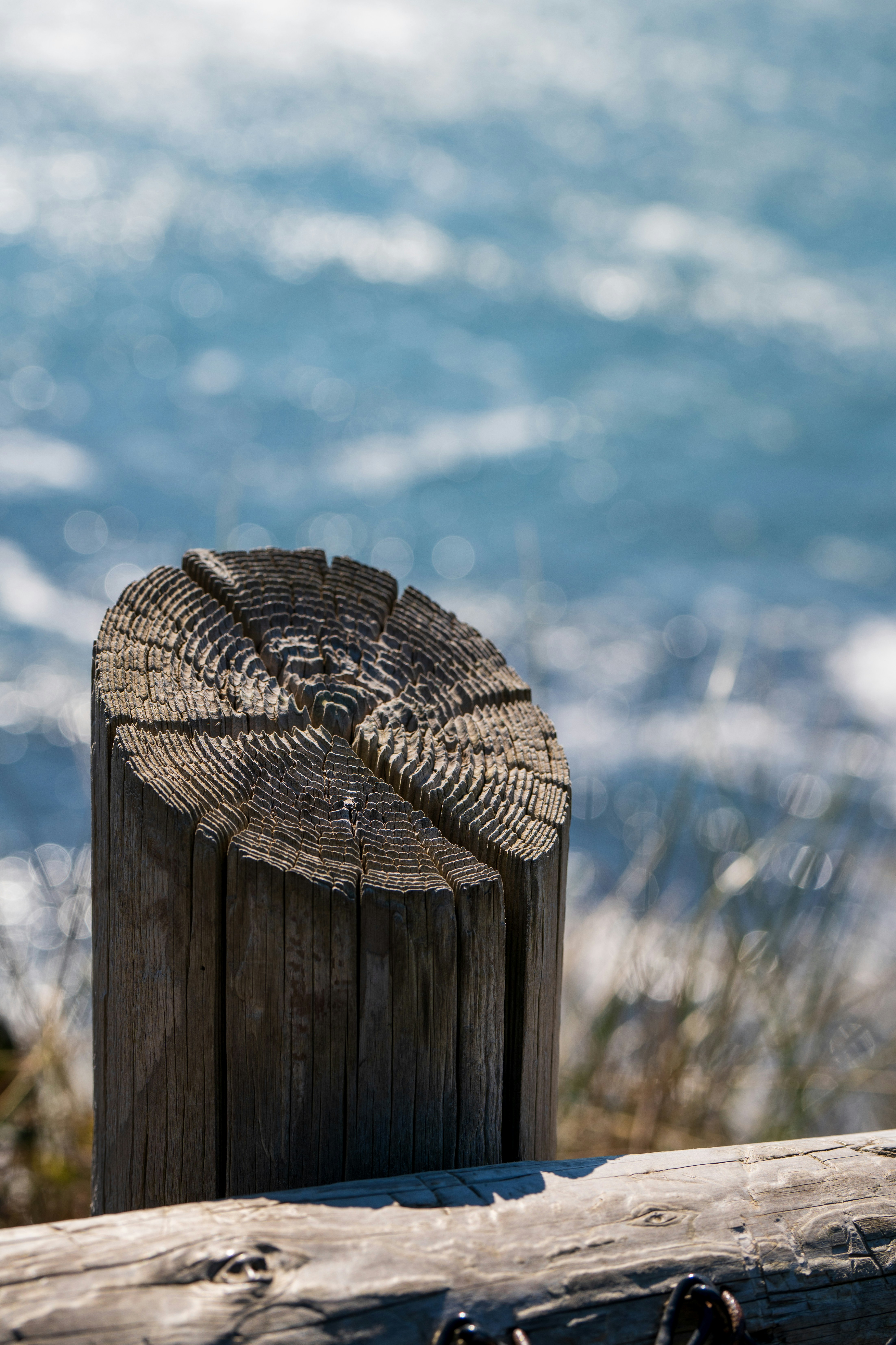 Concentric Crown: The Weathered Post Standing Against a Blur of Sea