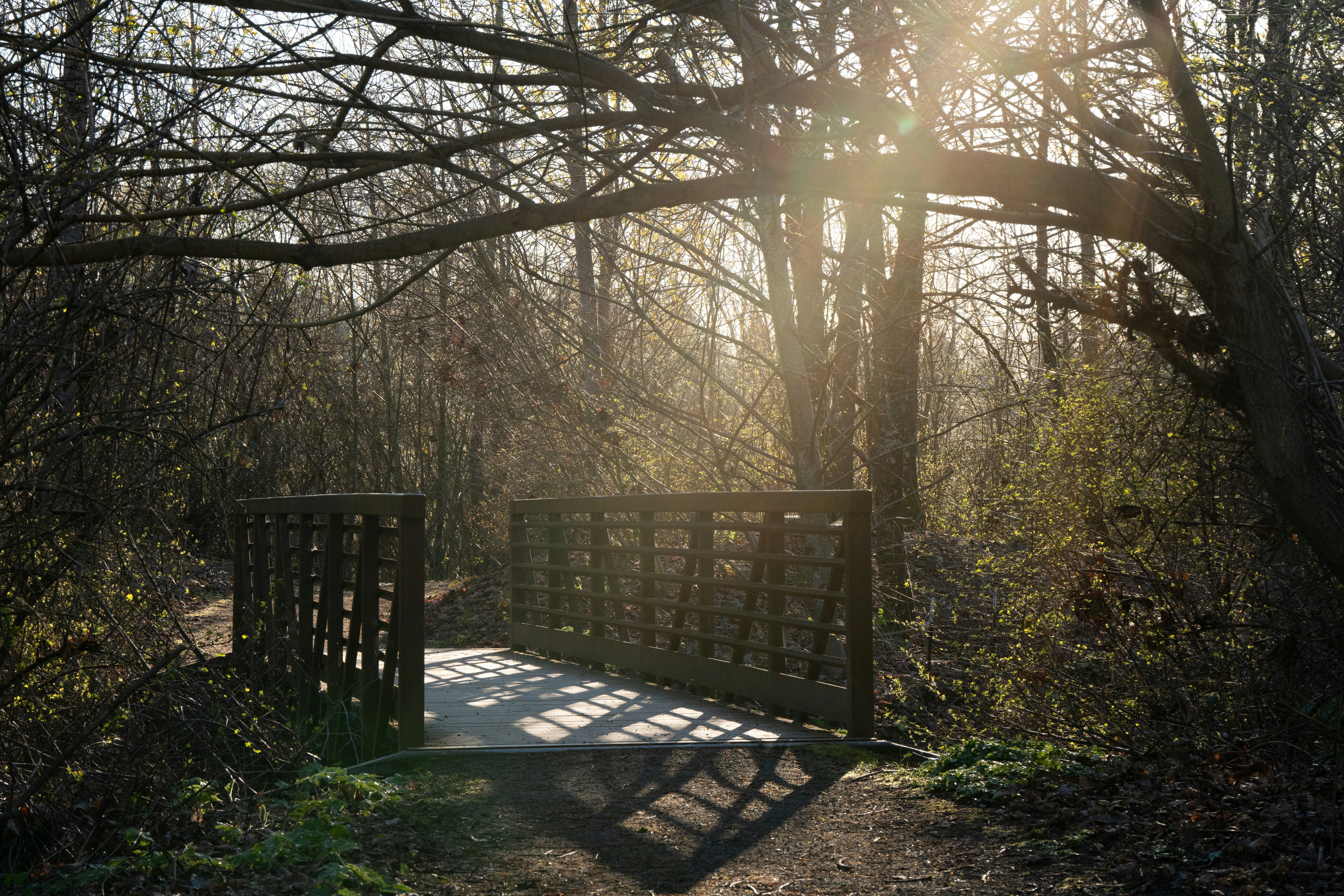 Dappled Sunlight on a Quiet Footbridge