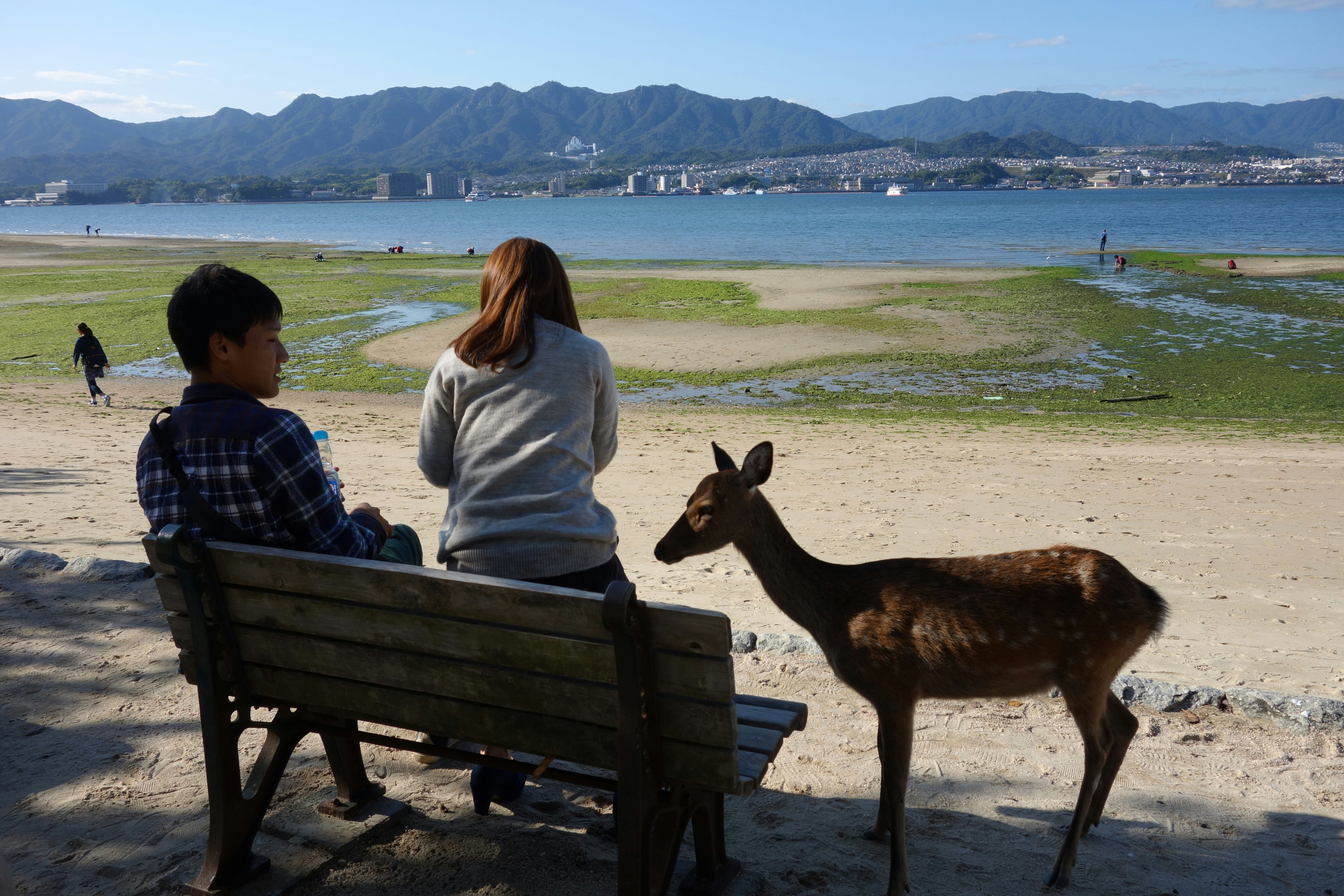 A Quiet Shore Bench: Children and a deer share a seaside moment