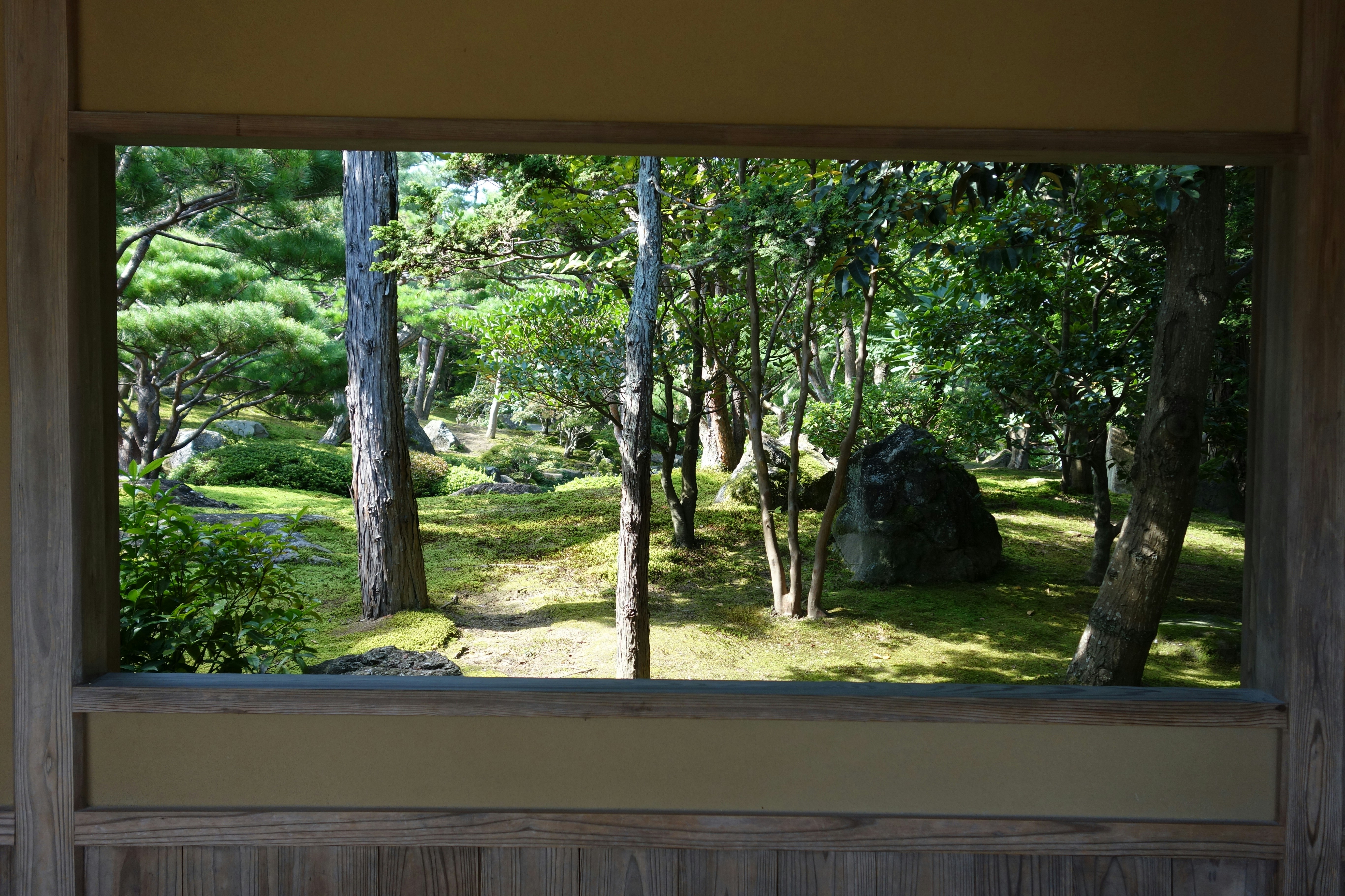 A view of a forest through a window photo – Free Japan Image on Unsplash