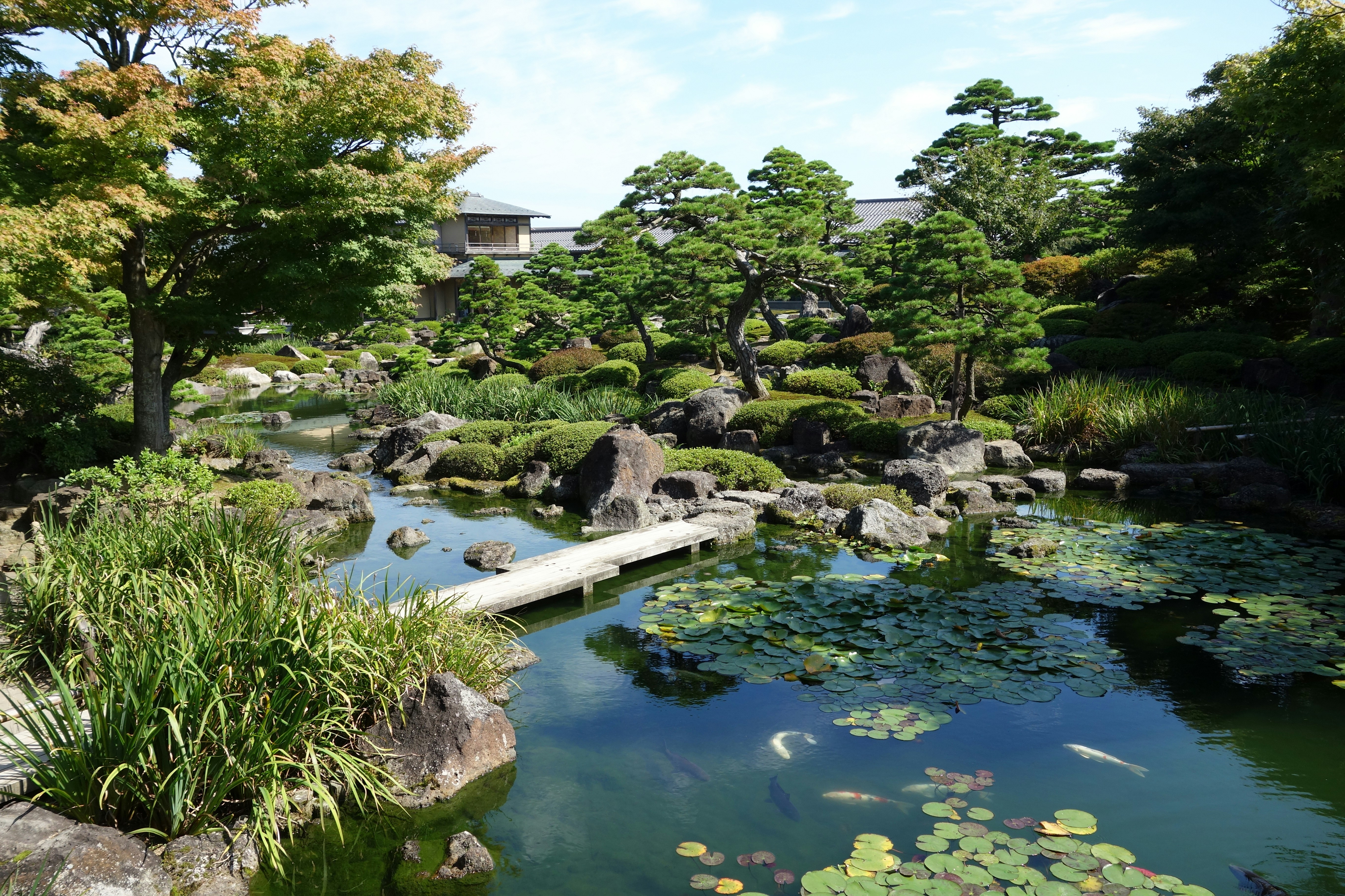 A small pond surrounded by trees and rocks photo – Free Flower Image on ...