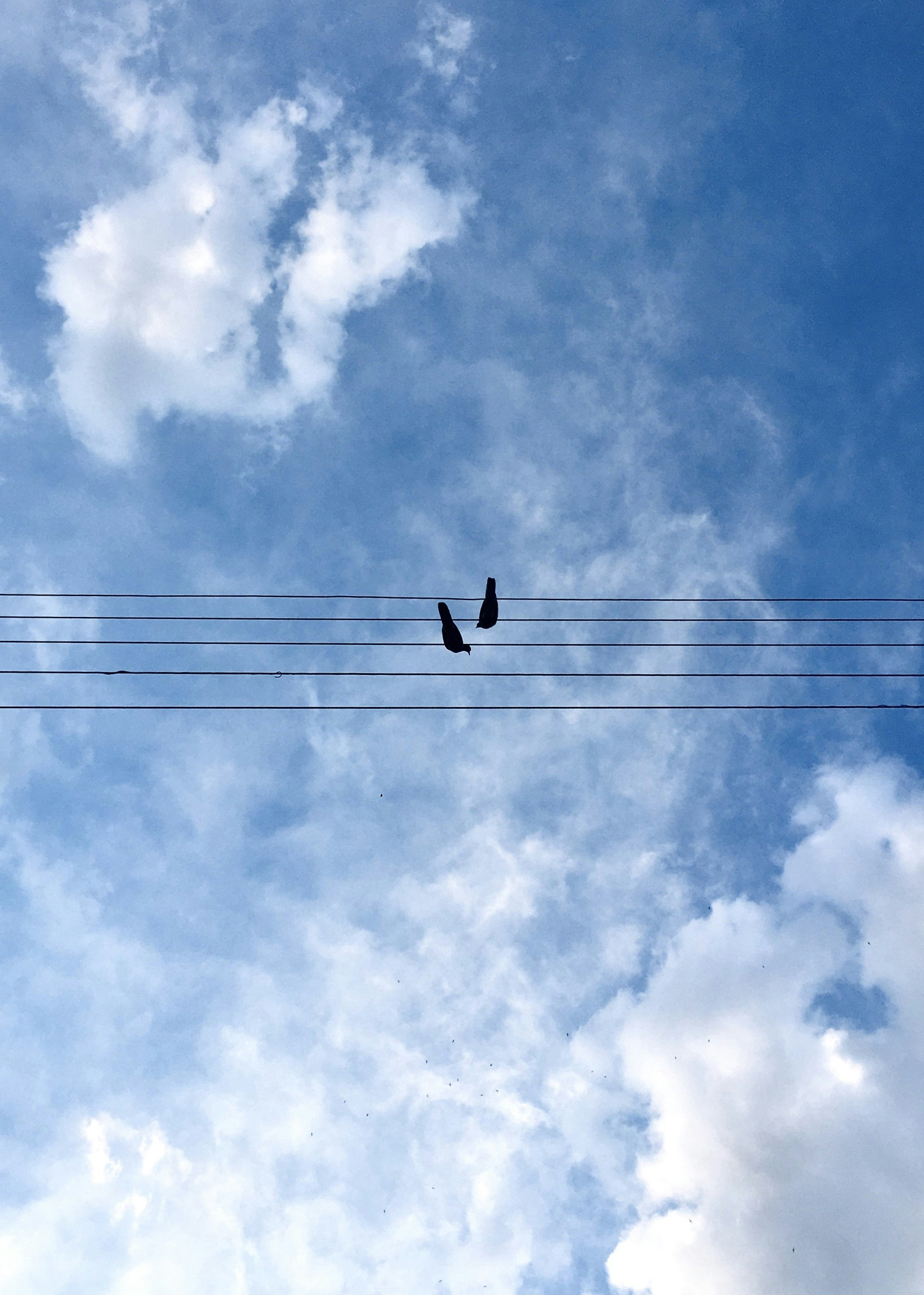 Photo by Alisina Qasemi with Apple iPhone 6s