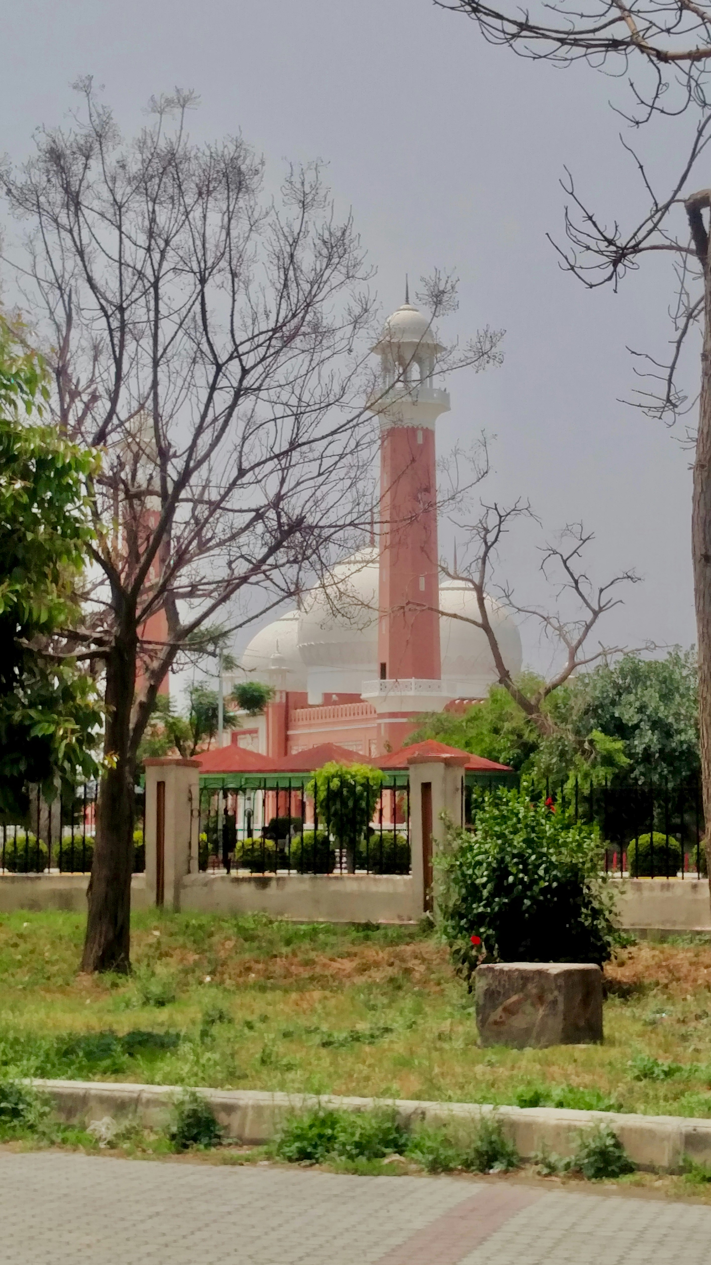 Red-tiled Minaret Rising Behind Leafless Trees in a Park