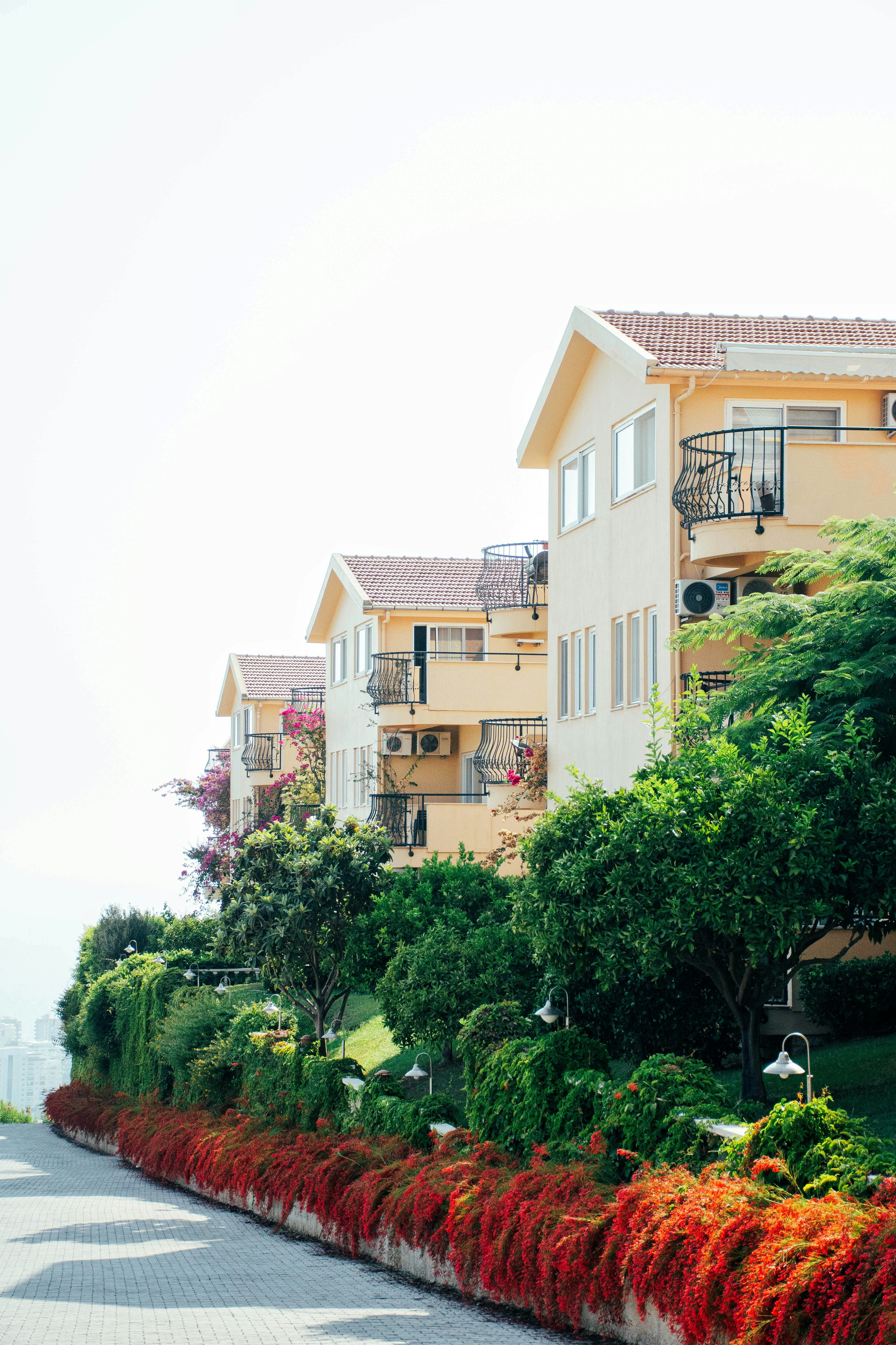 Photo by Olga Trishi with Nikon D7500