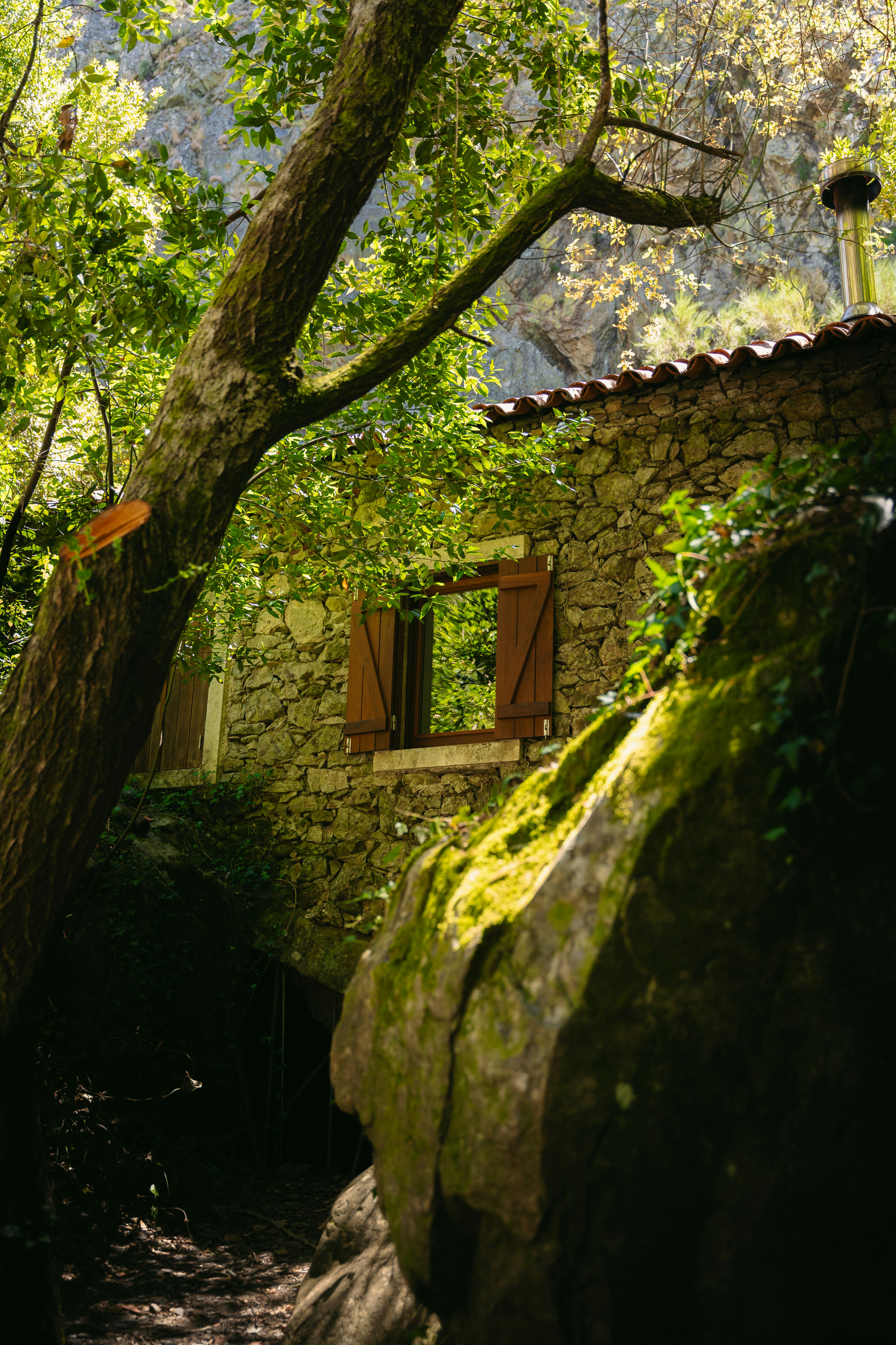 Photo by Tiago Ferreira with Sony Alpha 7 III