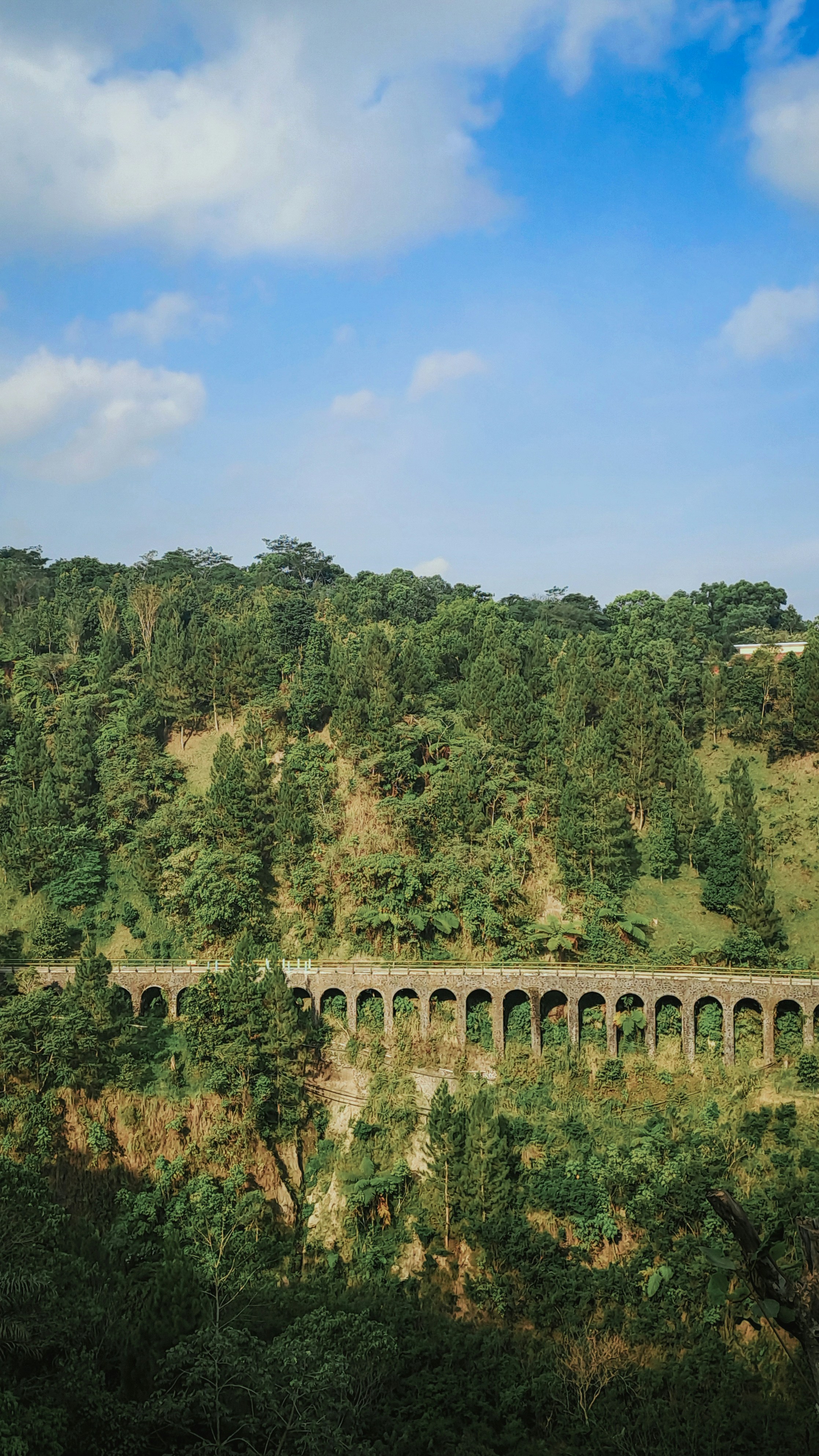 A train traveling over a bridge over a lush green hillside photo – Free ...