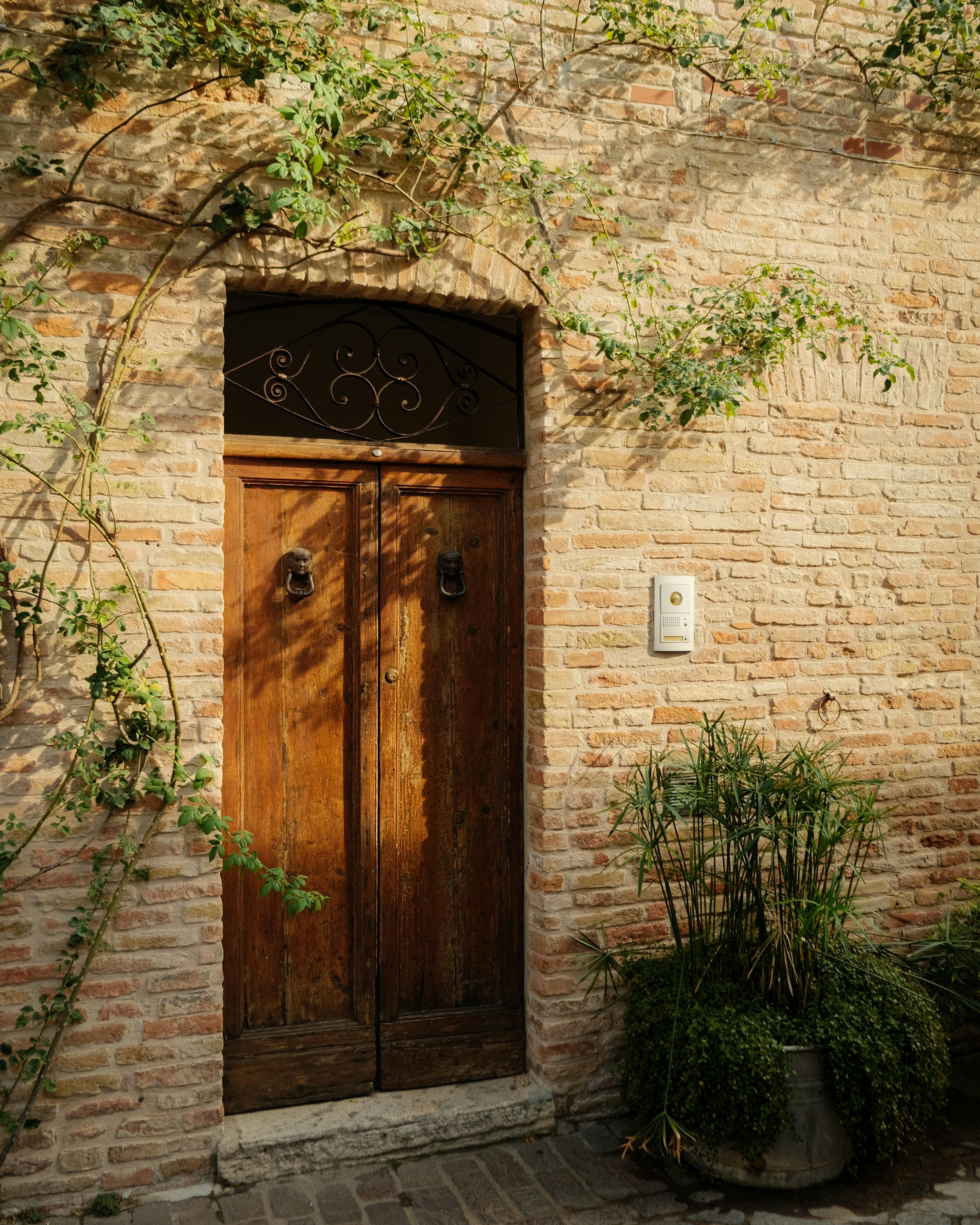 Sunlit Timber Doorway Framed by Vine-Crowned Brick Wall
