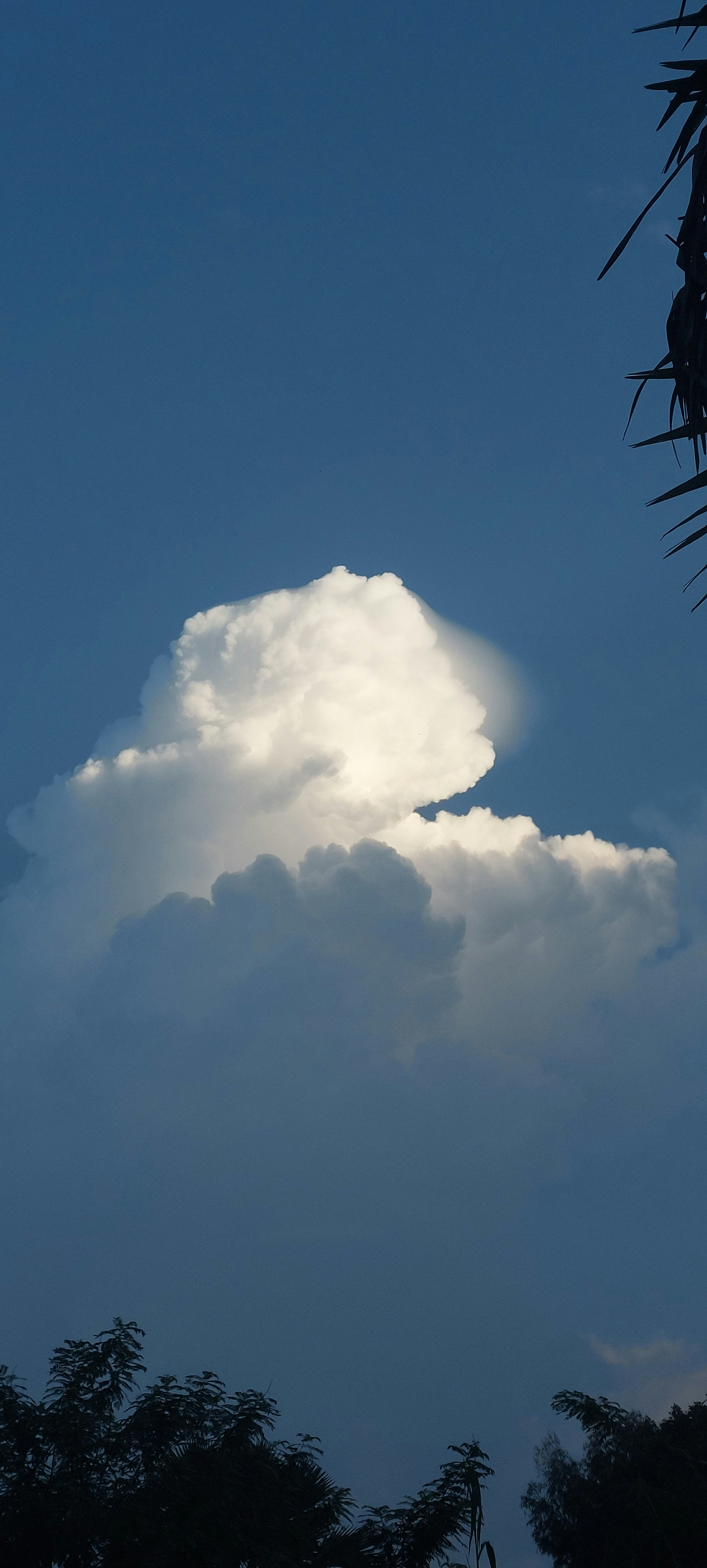 Cartoon Cloud Pictures | Download Free Images on Unsplash