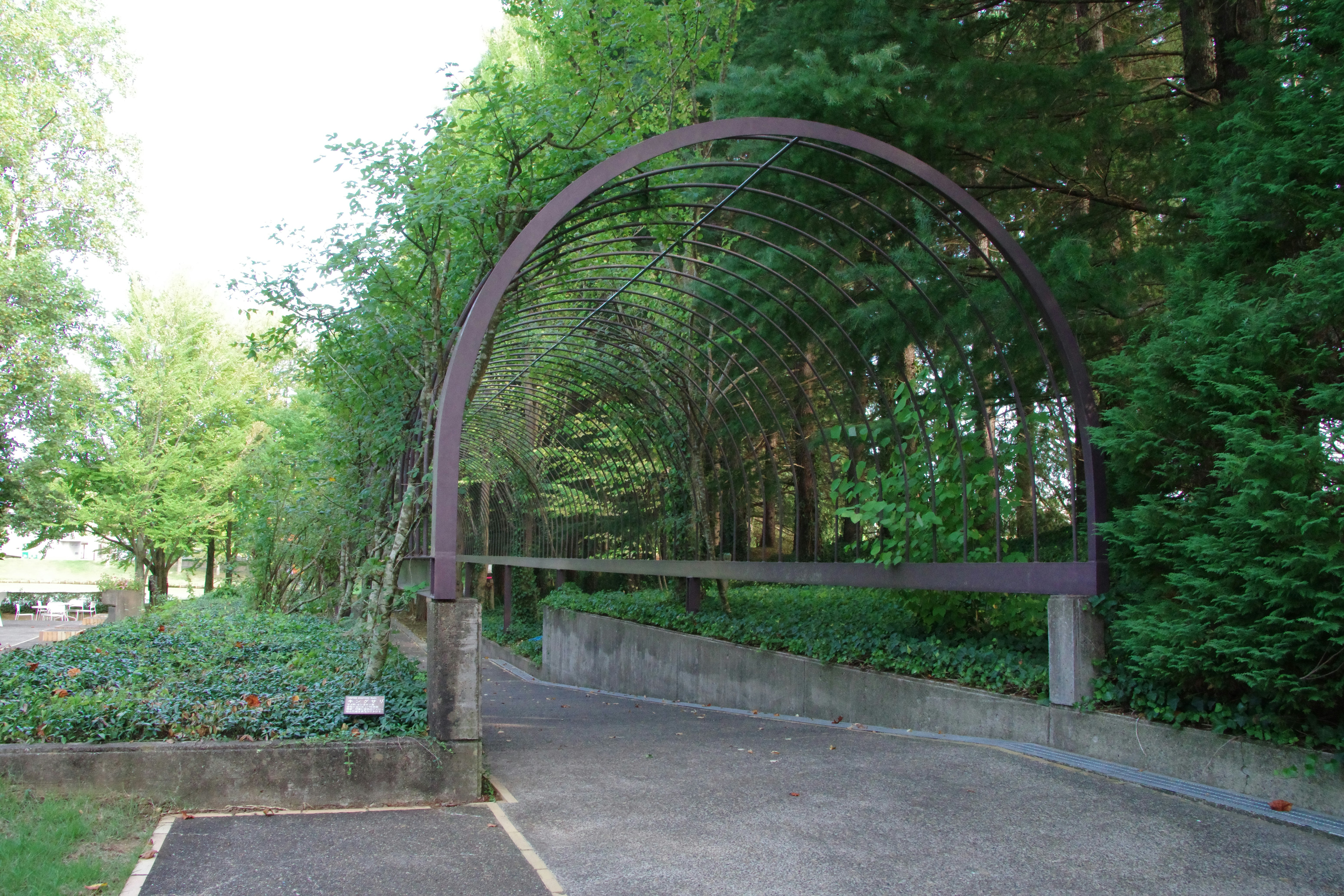 Beautiful green and flower garden、新緑と美しい花が織りなす絶景 A superb view of fresh greenery and beautiful flowers