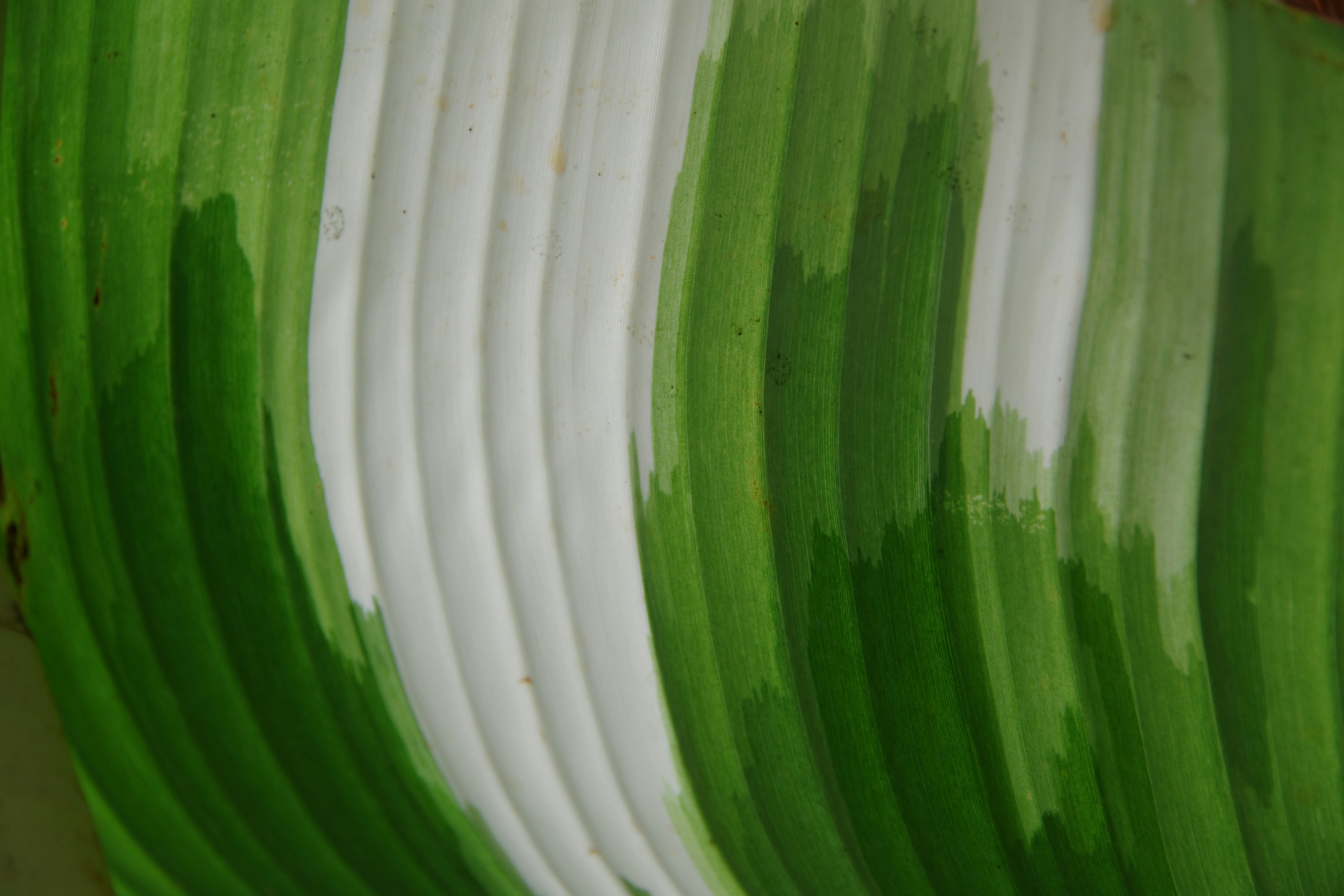 Emerald Ribs: Macro Study of Green-White Ceramic Stripes