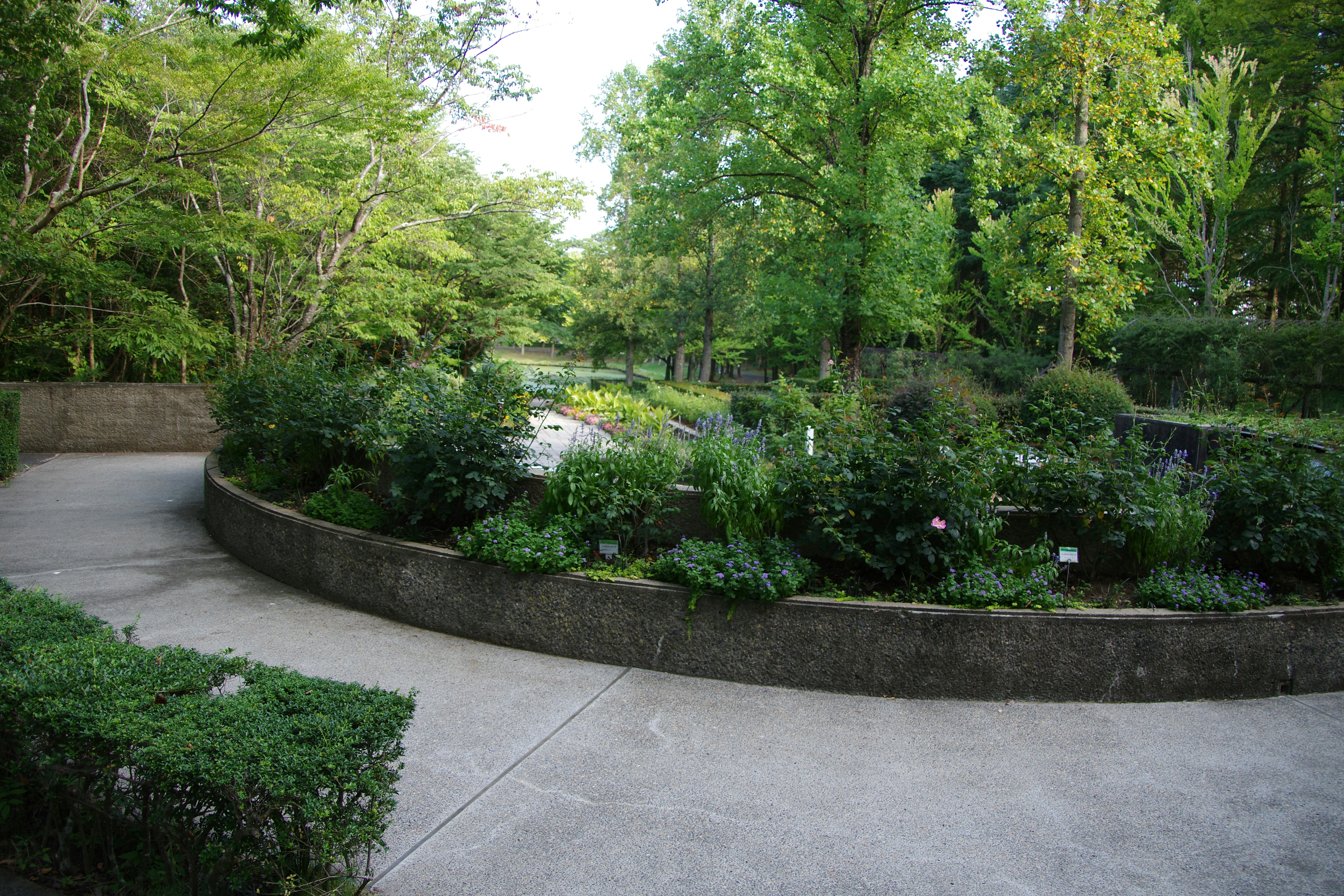 Foto Area taman melingkar dengan pepohonan dan semak-semak – Gambar ...