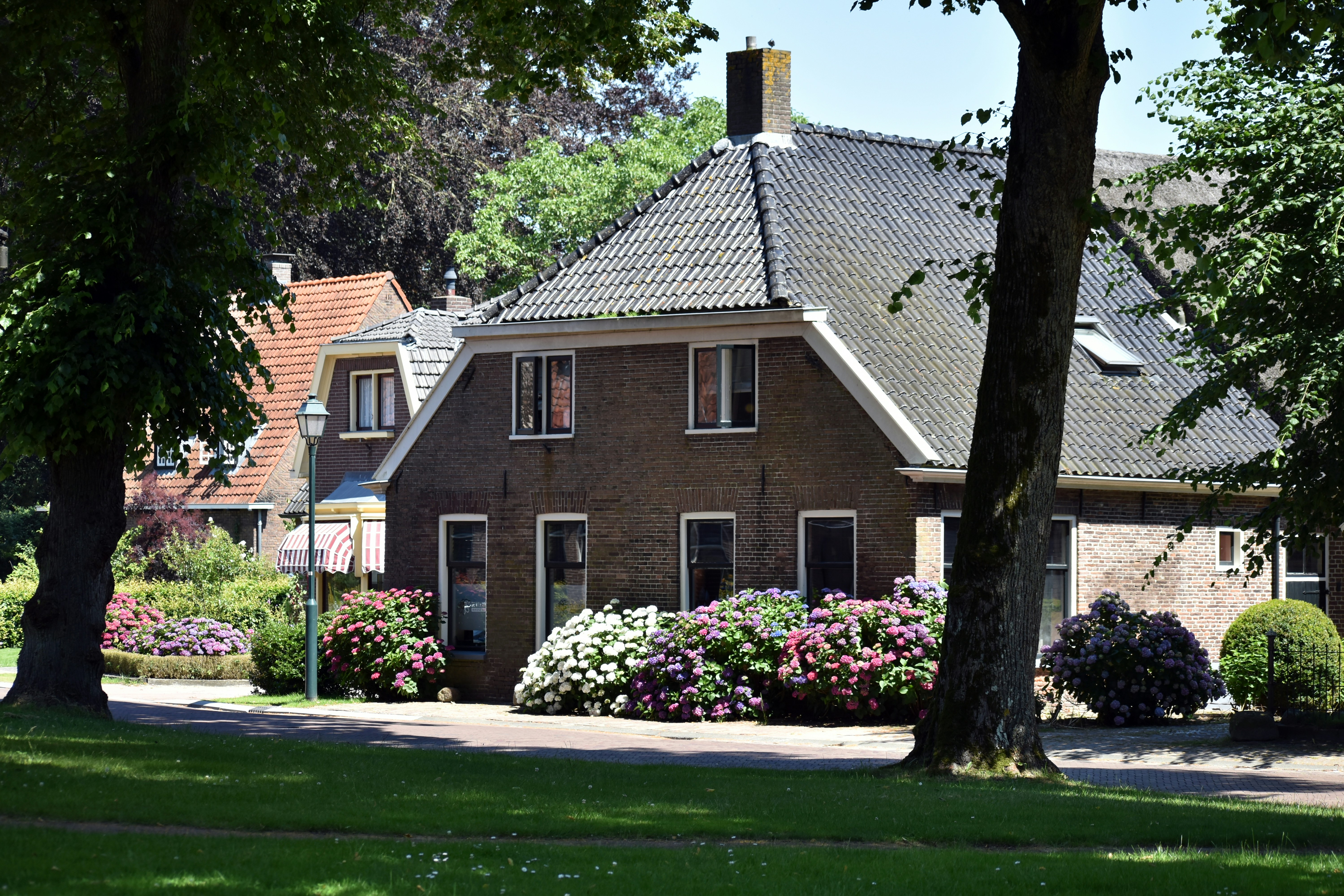 A farm house in an idyllic surrounding (A brick house with hydrangeas - architecture)