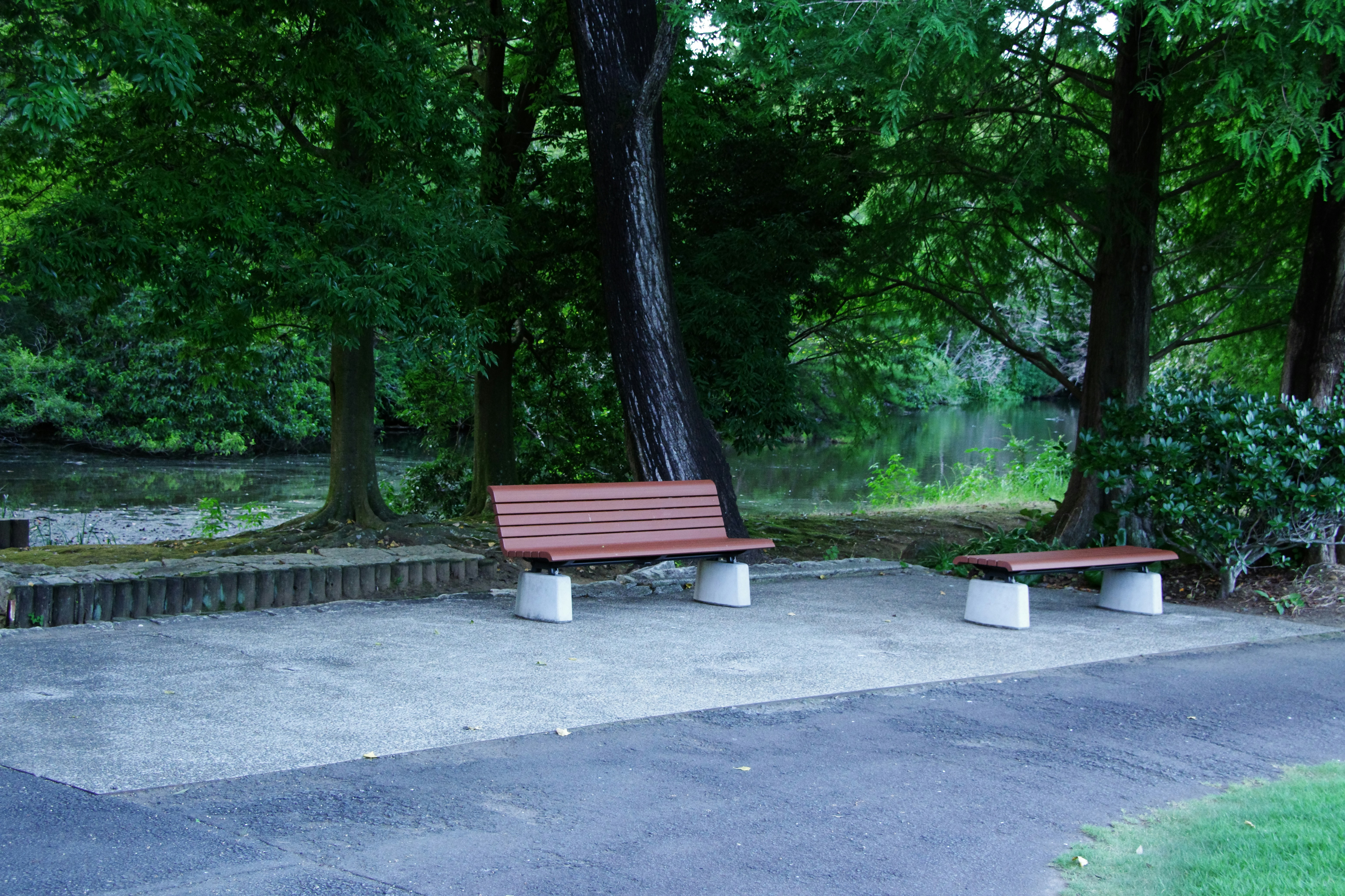 Beautiful green and flower garden、新緑と美しい花が織りなす絶景 A superb view of fresh greenery and beautiful flowers