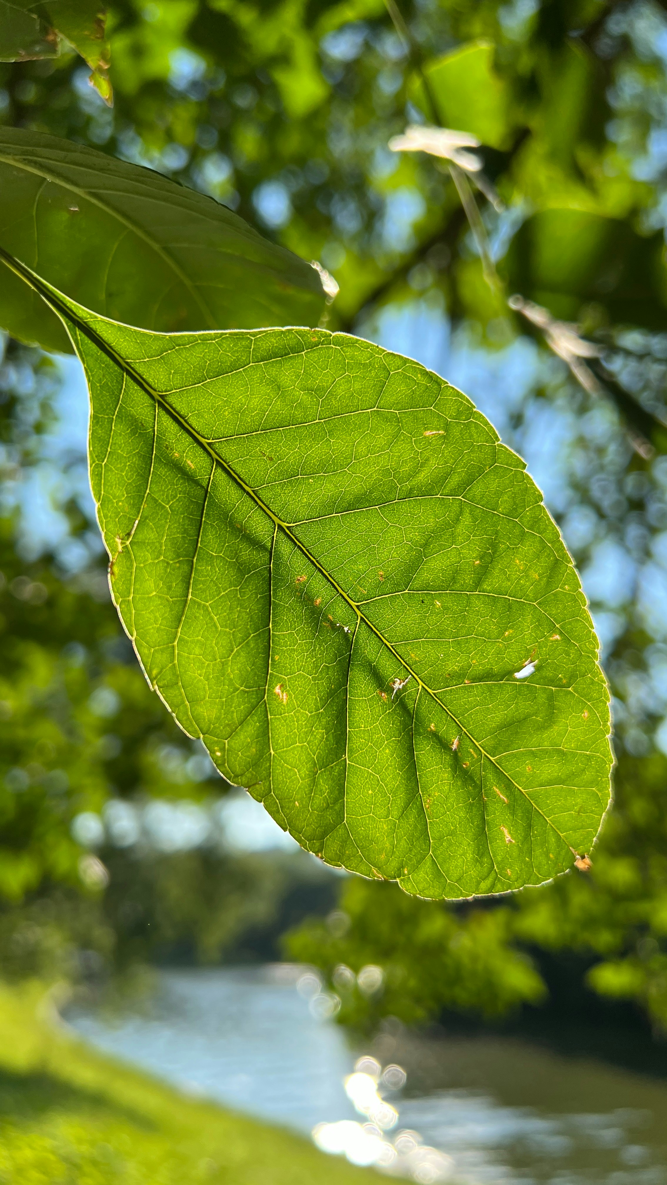 Dmitry Tarelkin (@dima_757) | Unsplash Photo Community