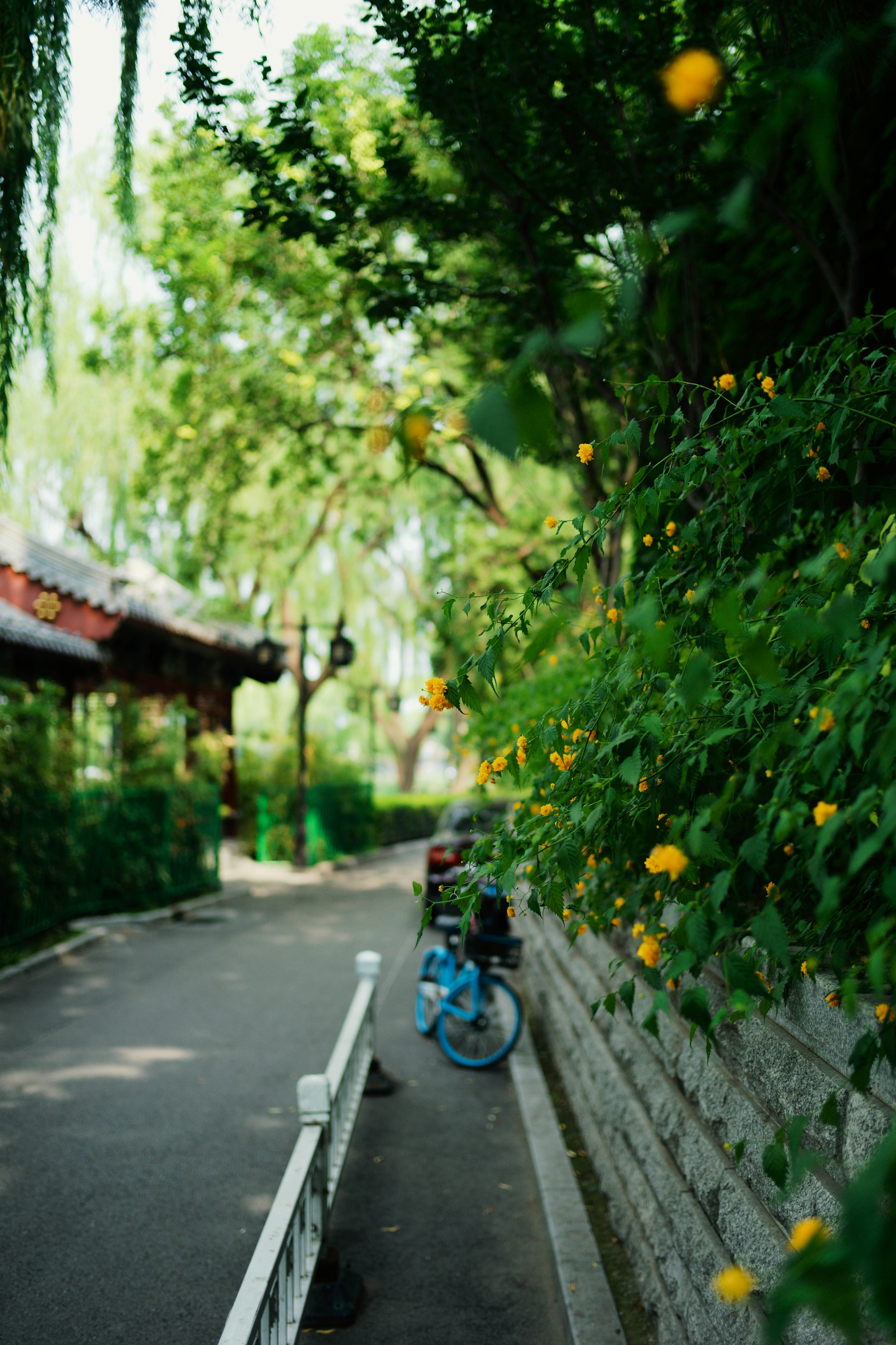 Photo by tommao wang with Leica M10-P