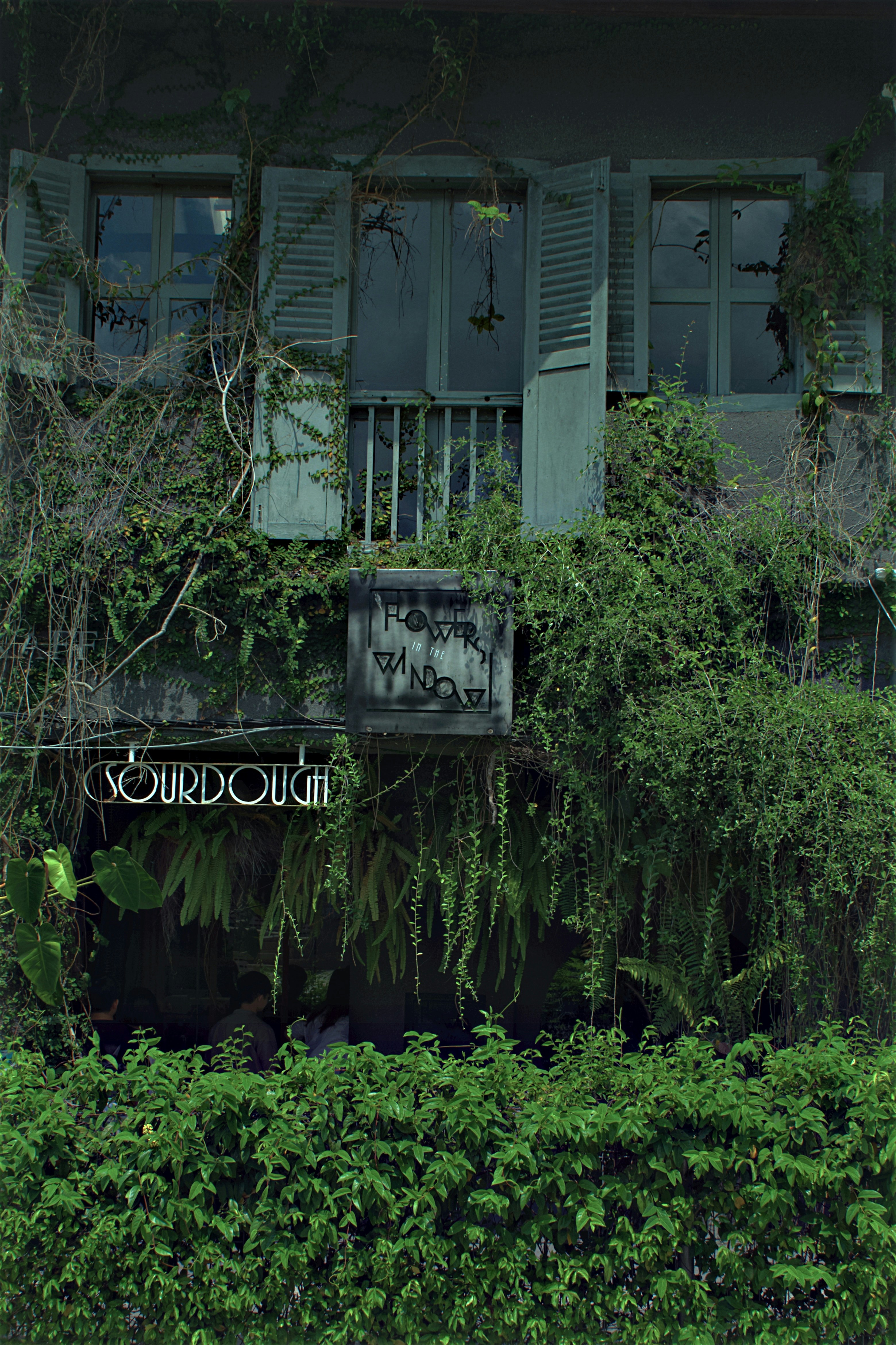 Vines over a Silent Facade: A Creeping Balcony of Neglect