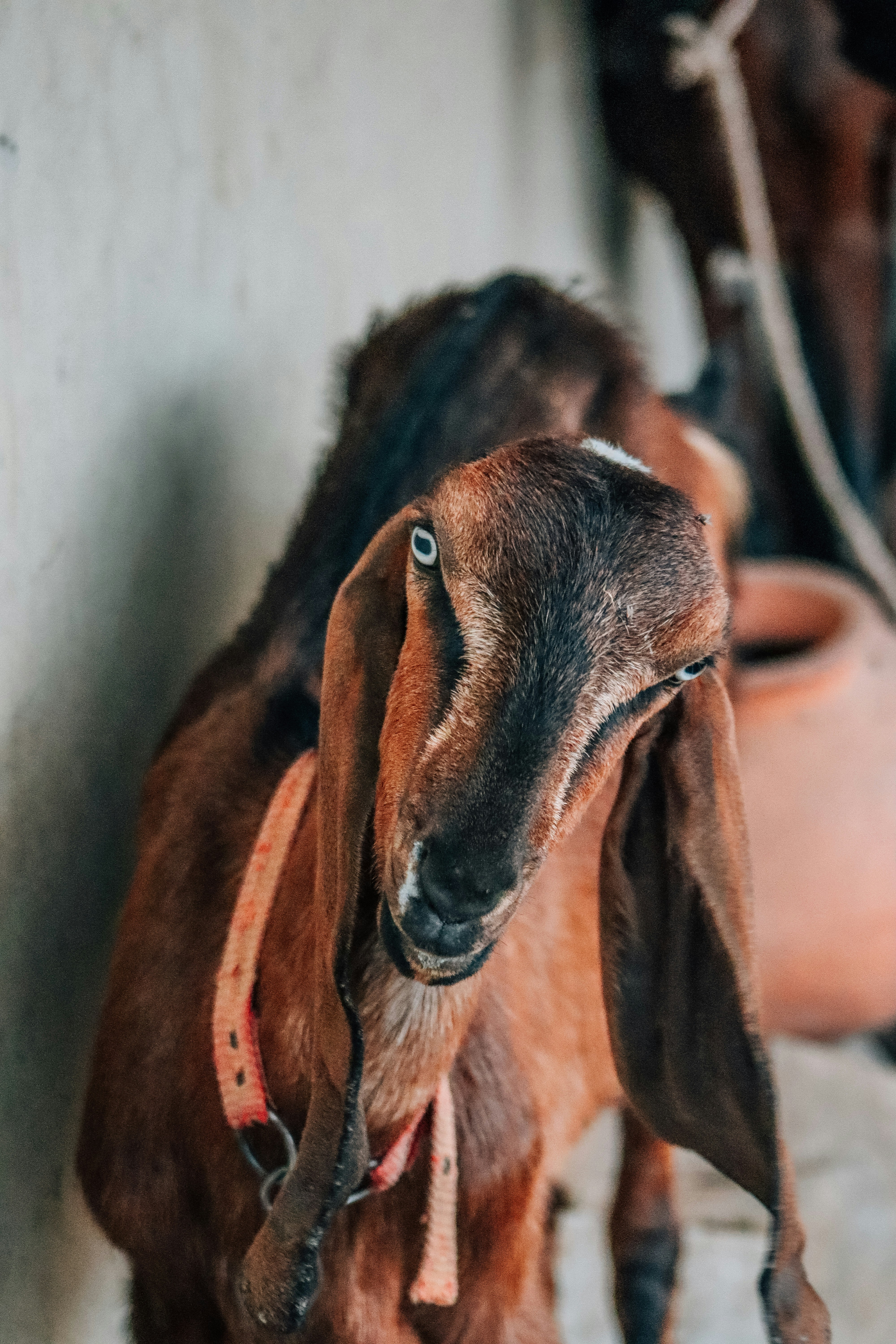 Photo by Anees Ur Rehman with Canon EOS 250D