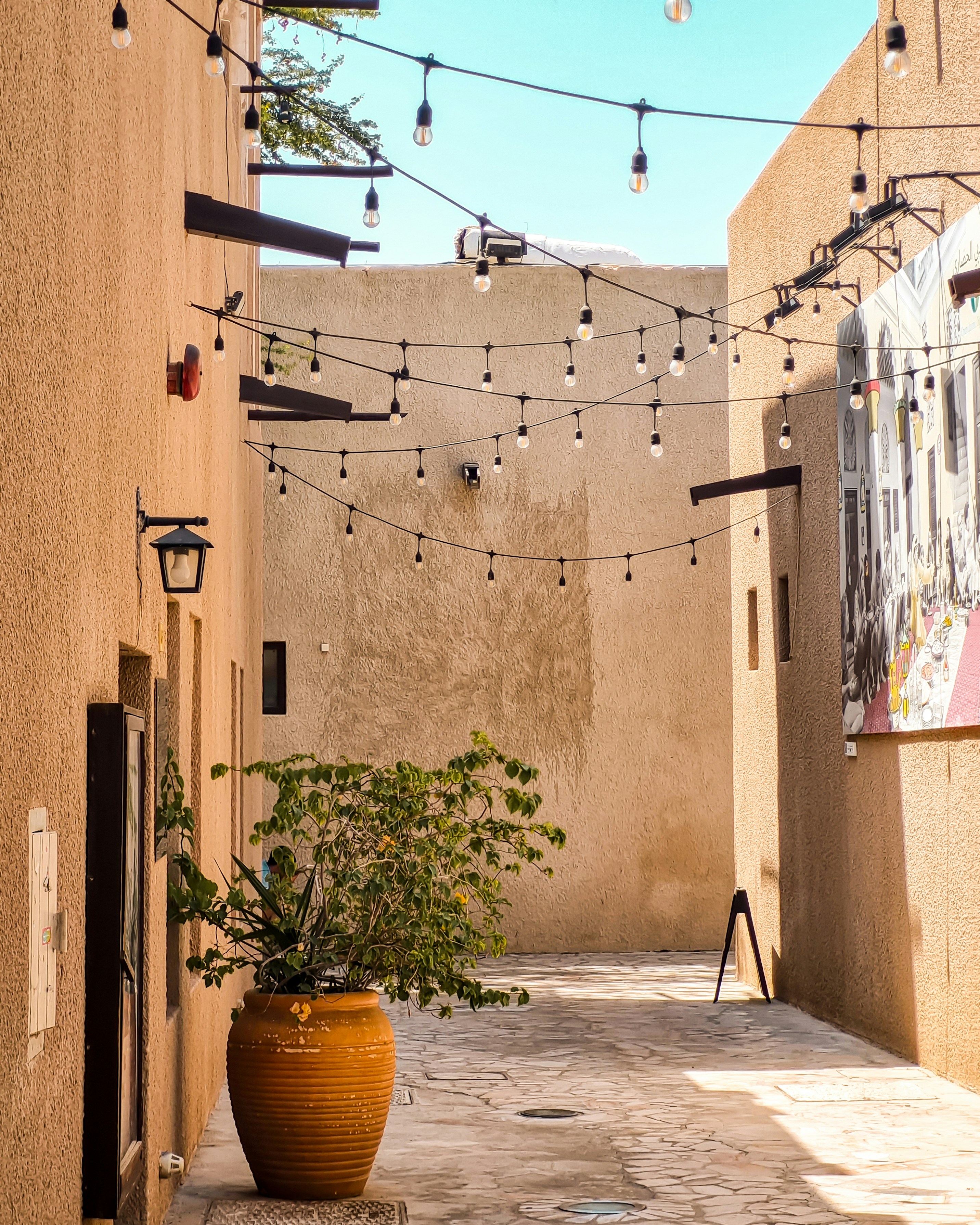 An alley way with a potted plant and string lights photo – Free Al ...