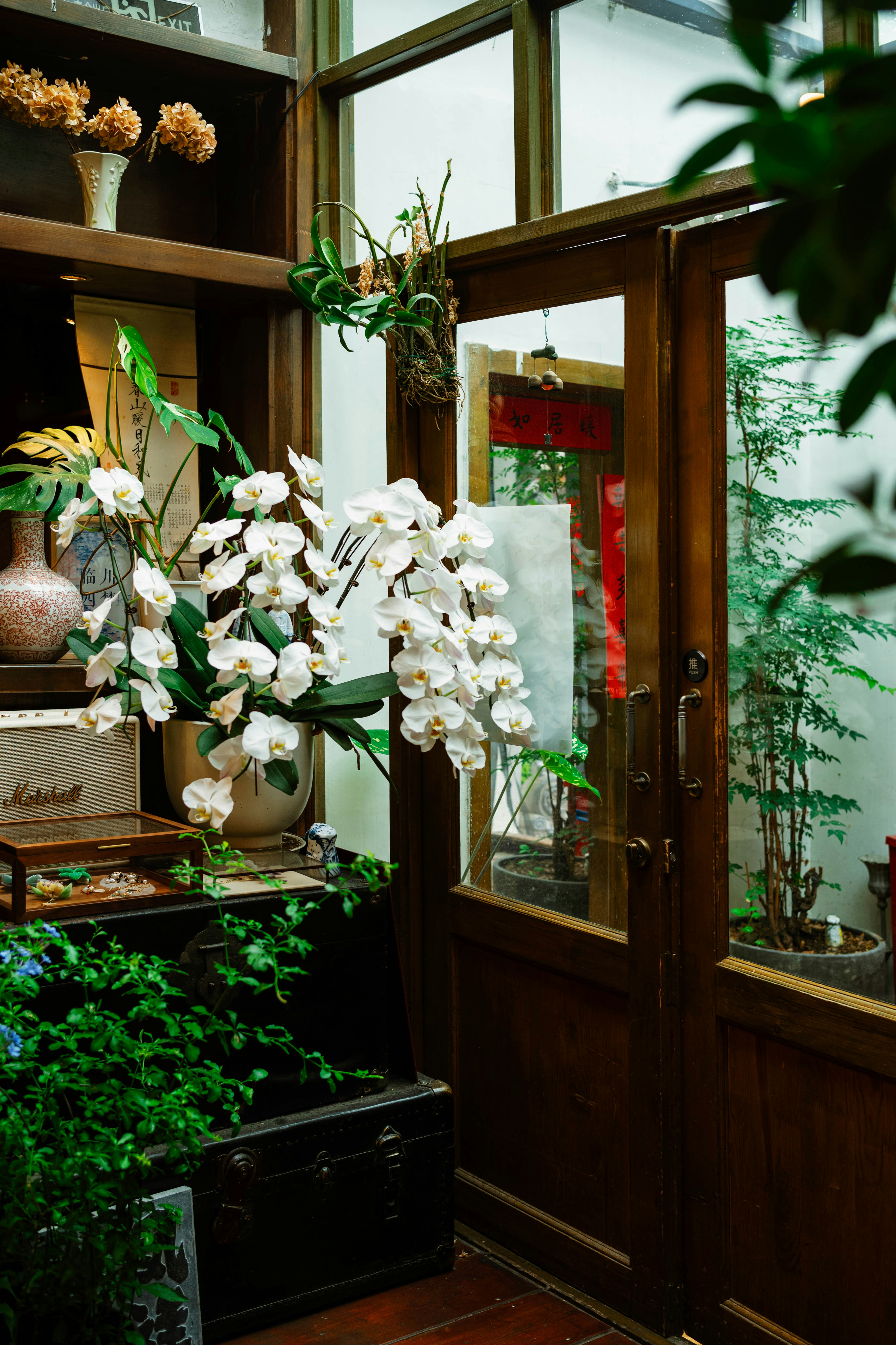 Photo by tommao wang with Leica M10-P