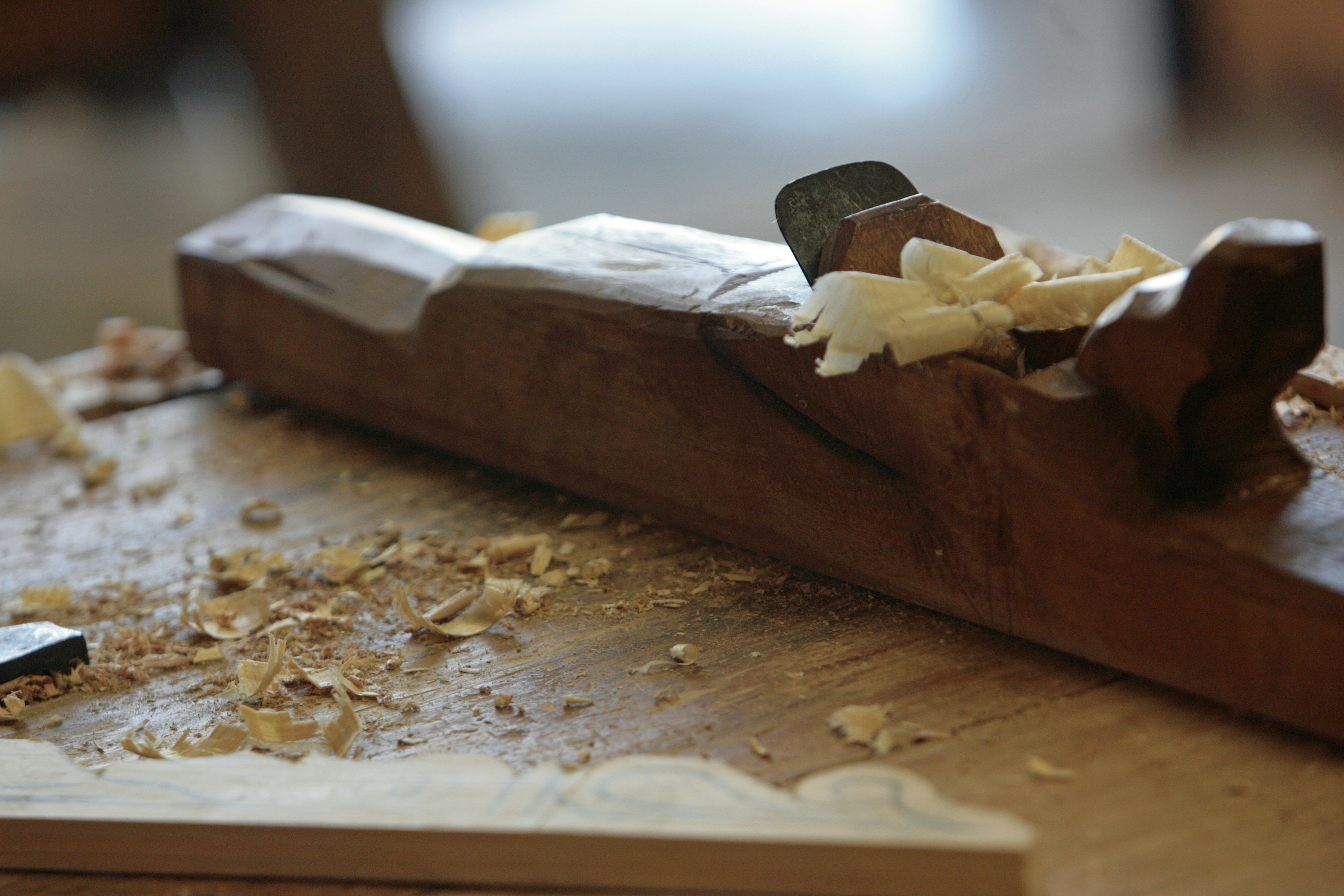 Photo by David Trinks with Canon EOS-1D Mark II N