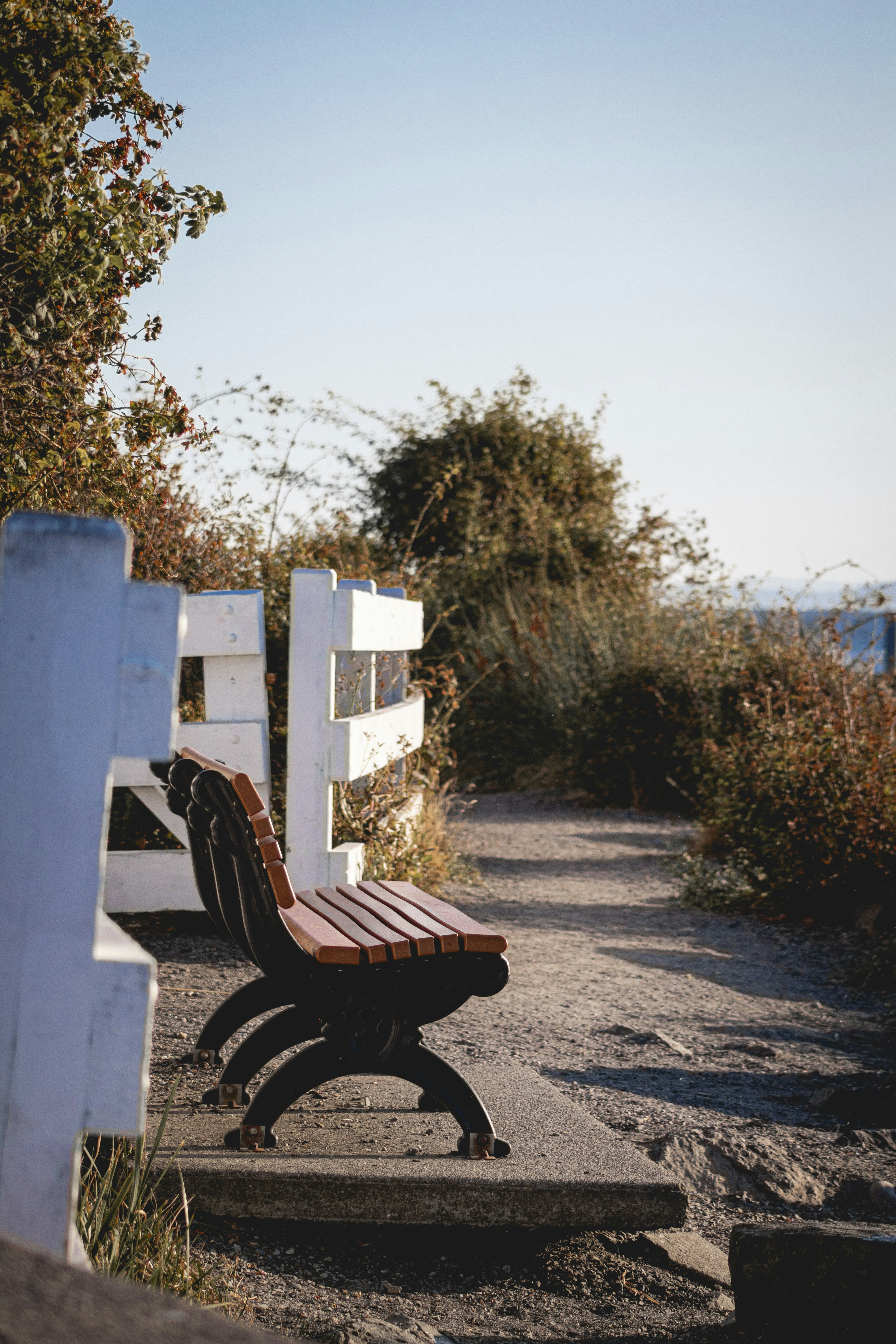 Bench overlooking the sound.