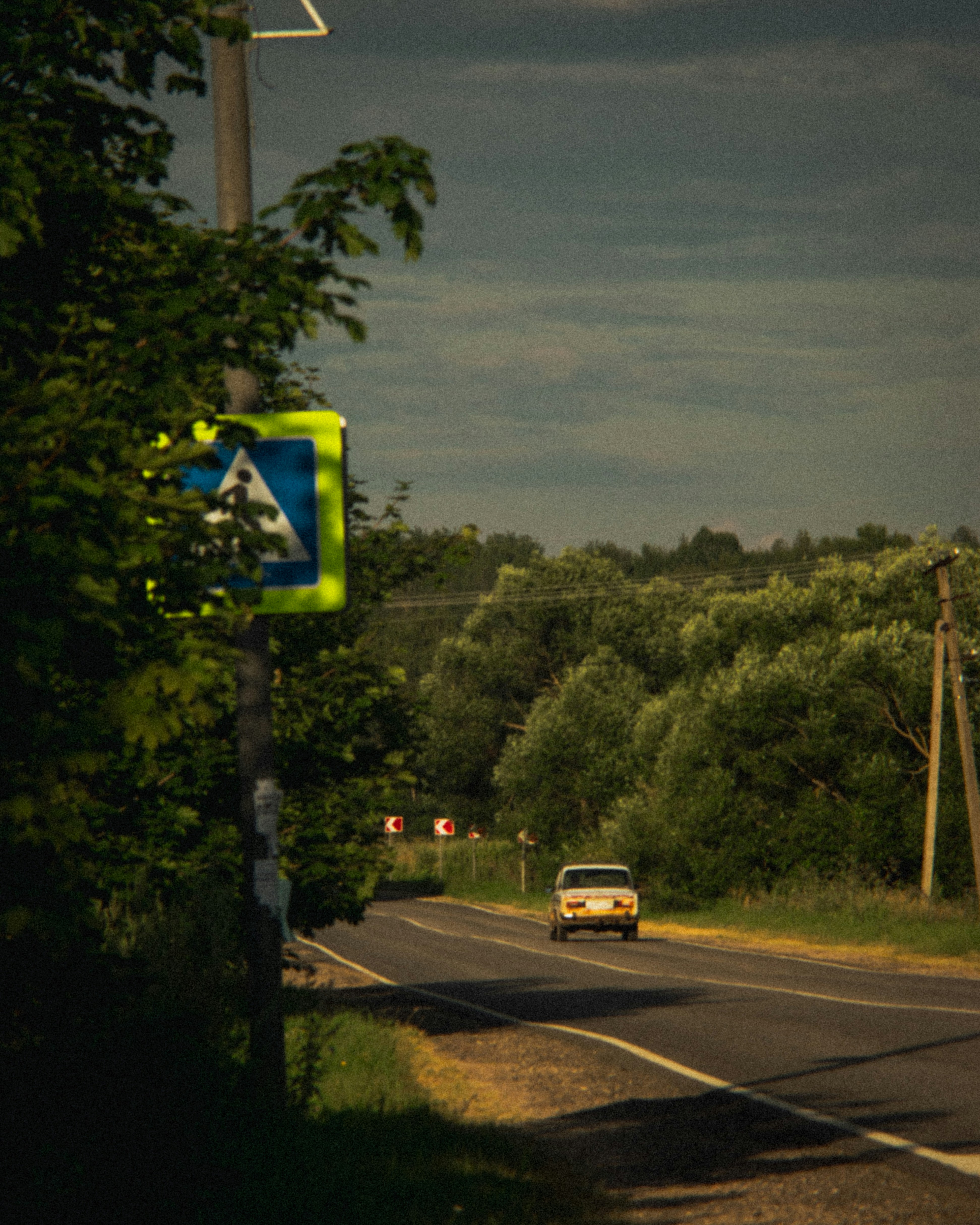 Distant Car on a Quiet Country Road Framed by Verdant Edges and a Foreground Sign