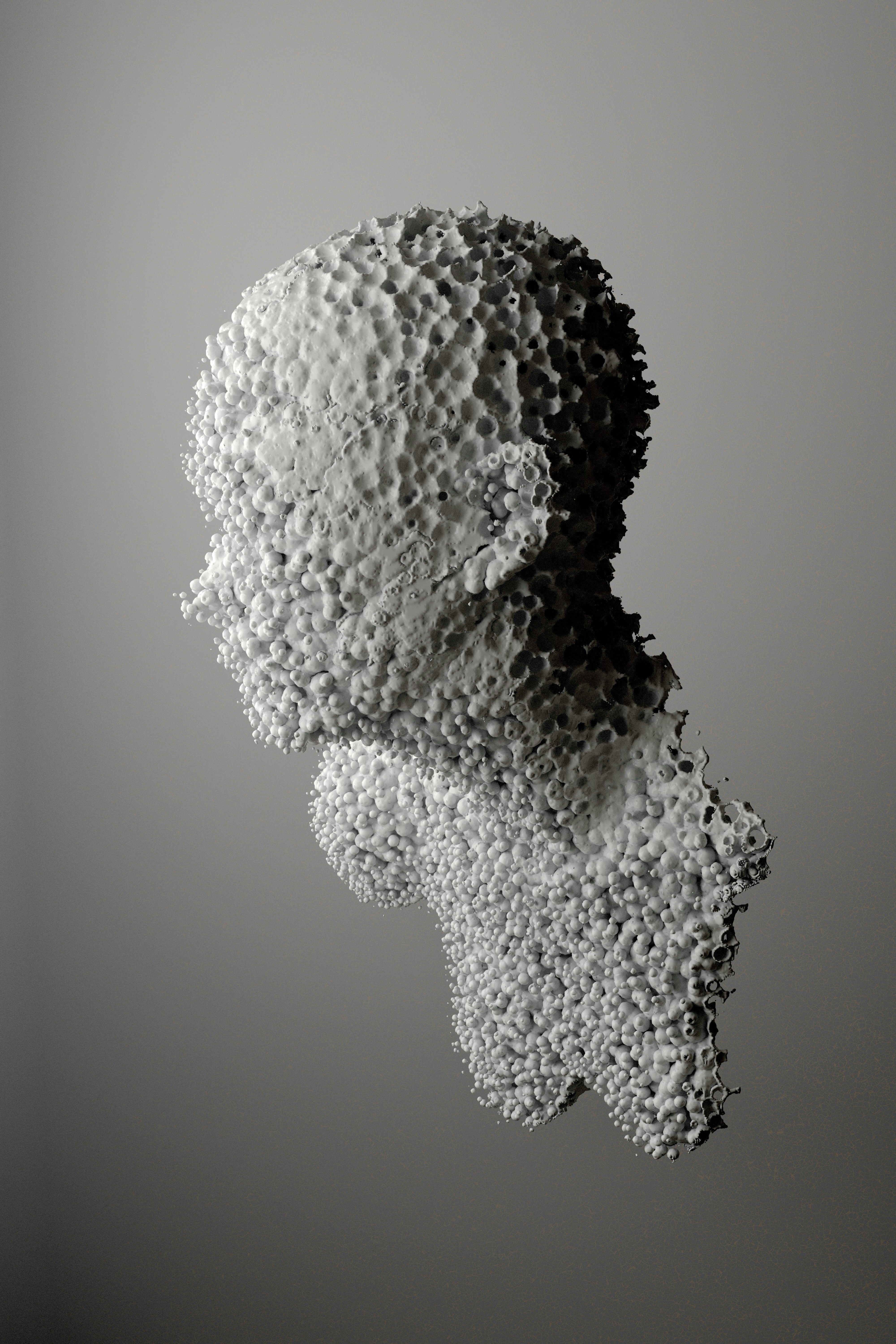 A black and white photo of a person's head photo – Free Render Image on ...