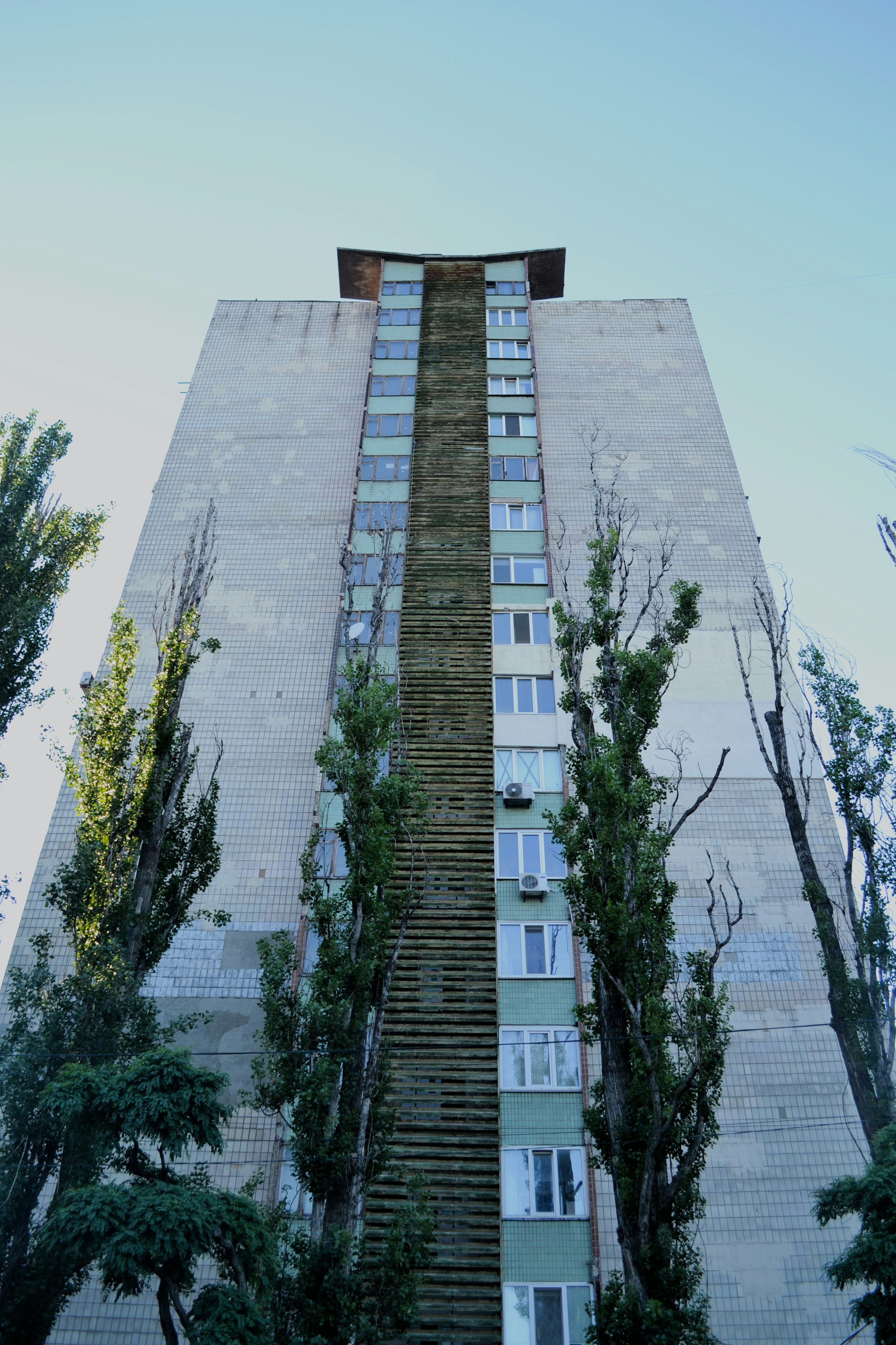 Timber Spine Rising: A Concrete High-Rise