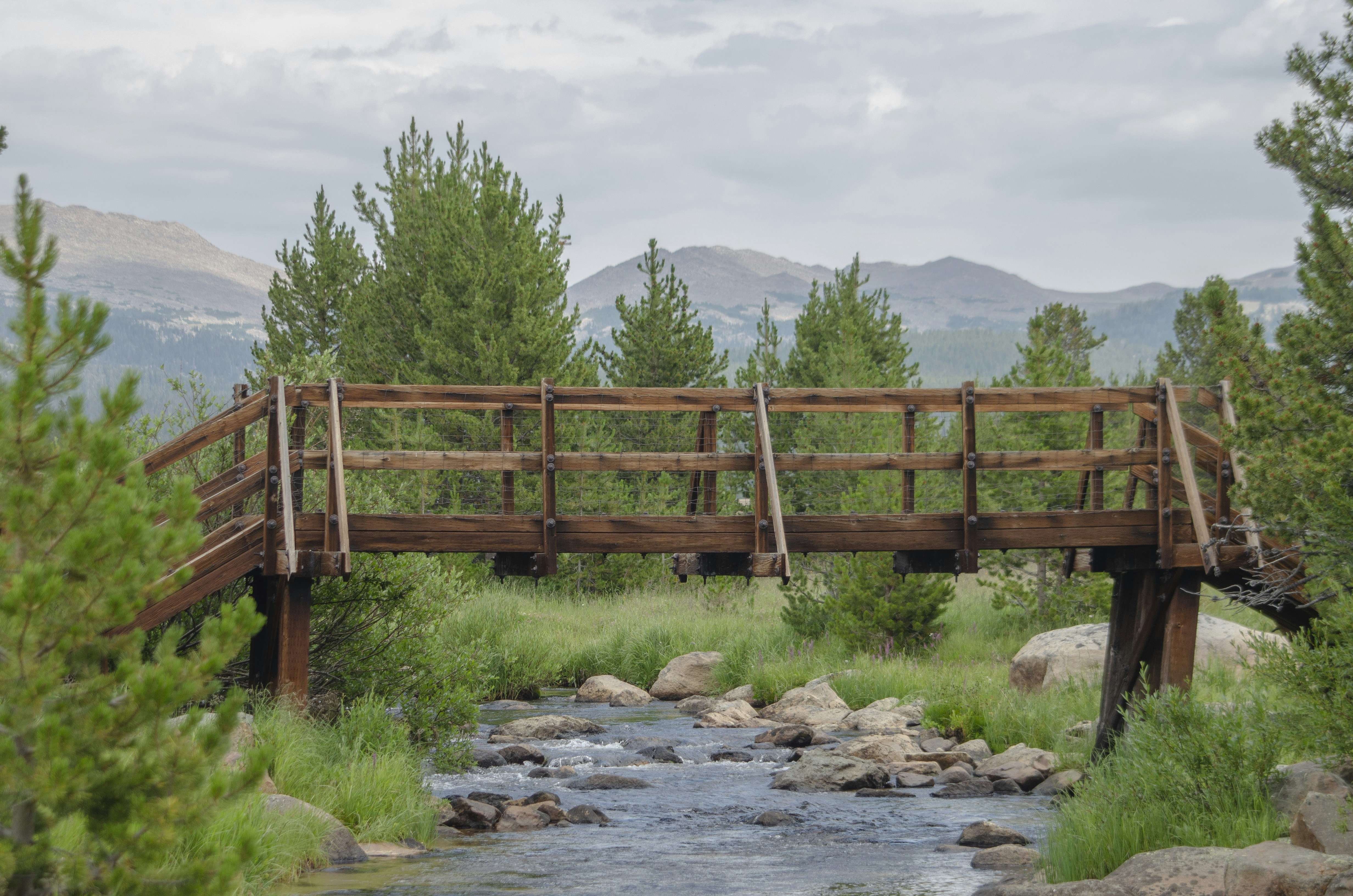 Timber Bridge Across a Mountain Creek in a Pine Valley