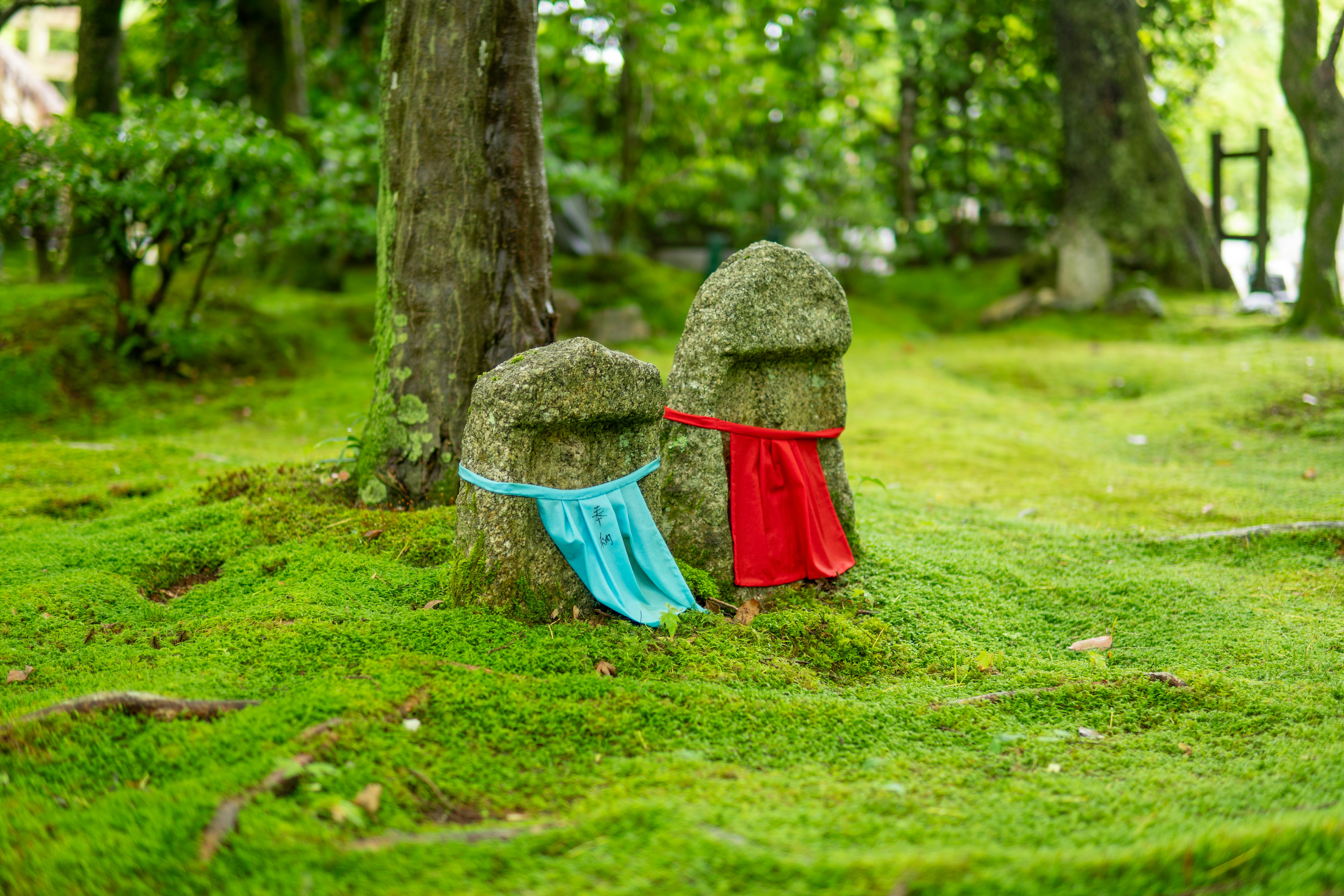 Scarved Sentinels: Mossy Stone Guardians in a Quiet Forest Shrine